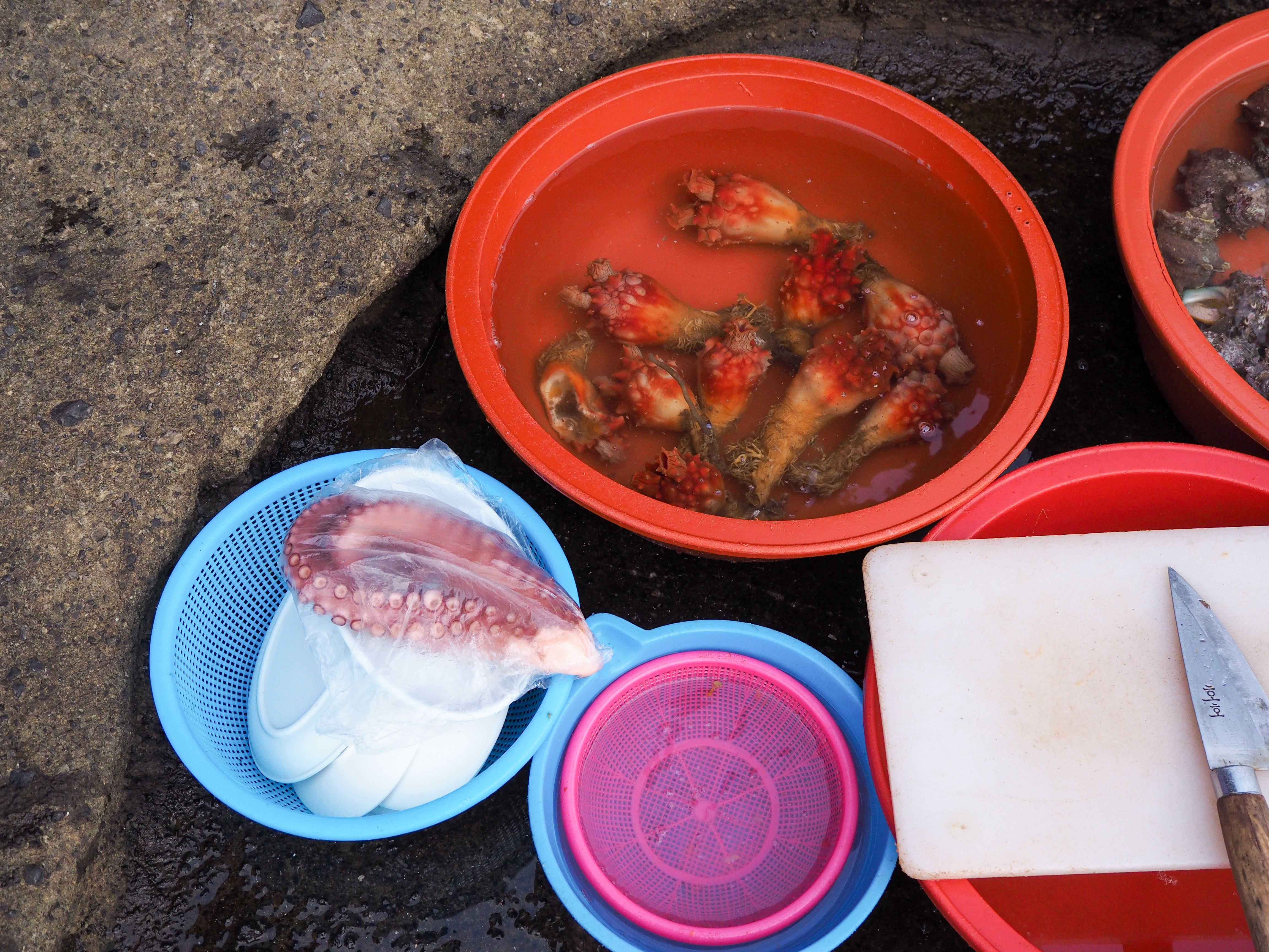 Octopus in a Cooking Pot · Free Stock Photo
