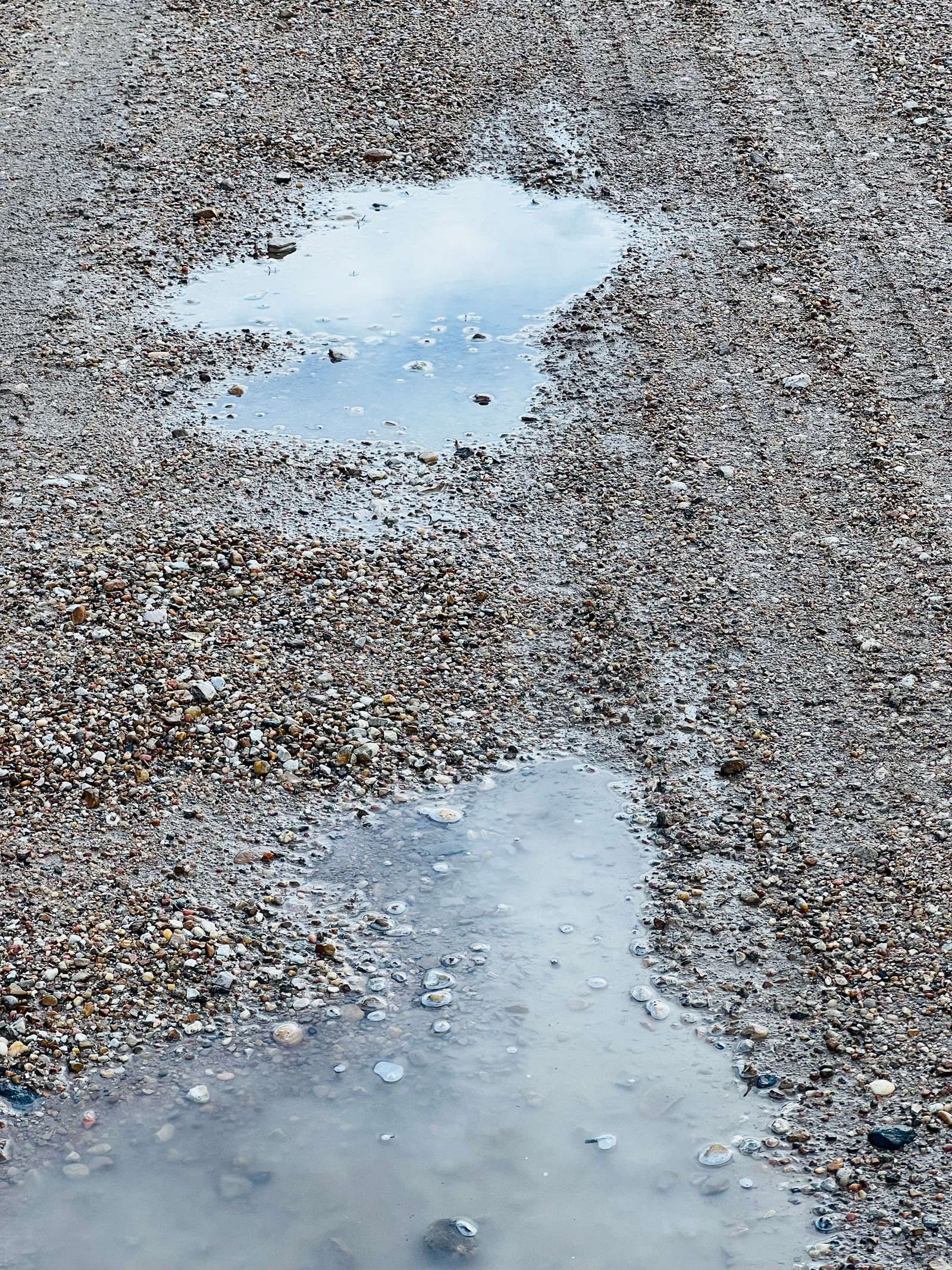 Wet Dirt Road Photos, Download The BEST Free Wet Dirt Road Stock Photos ...
