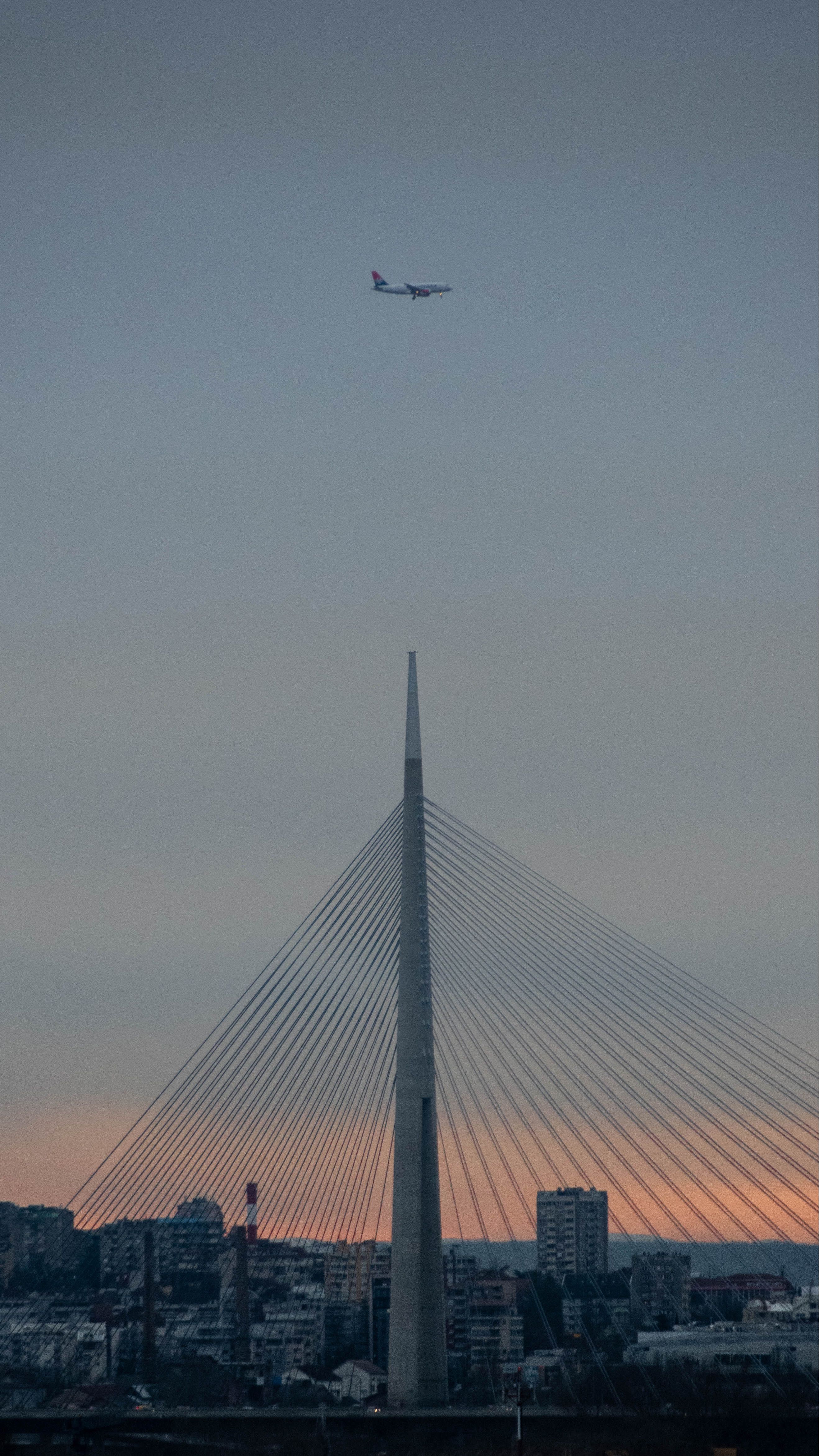 Plane Flying over Ada Bridge in Belgrade at Dusk · Free Stock Photo