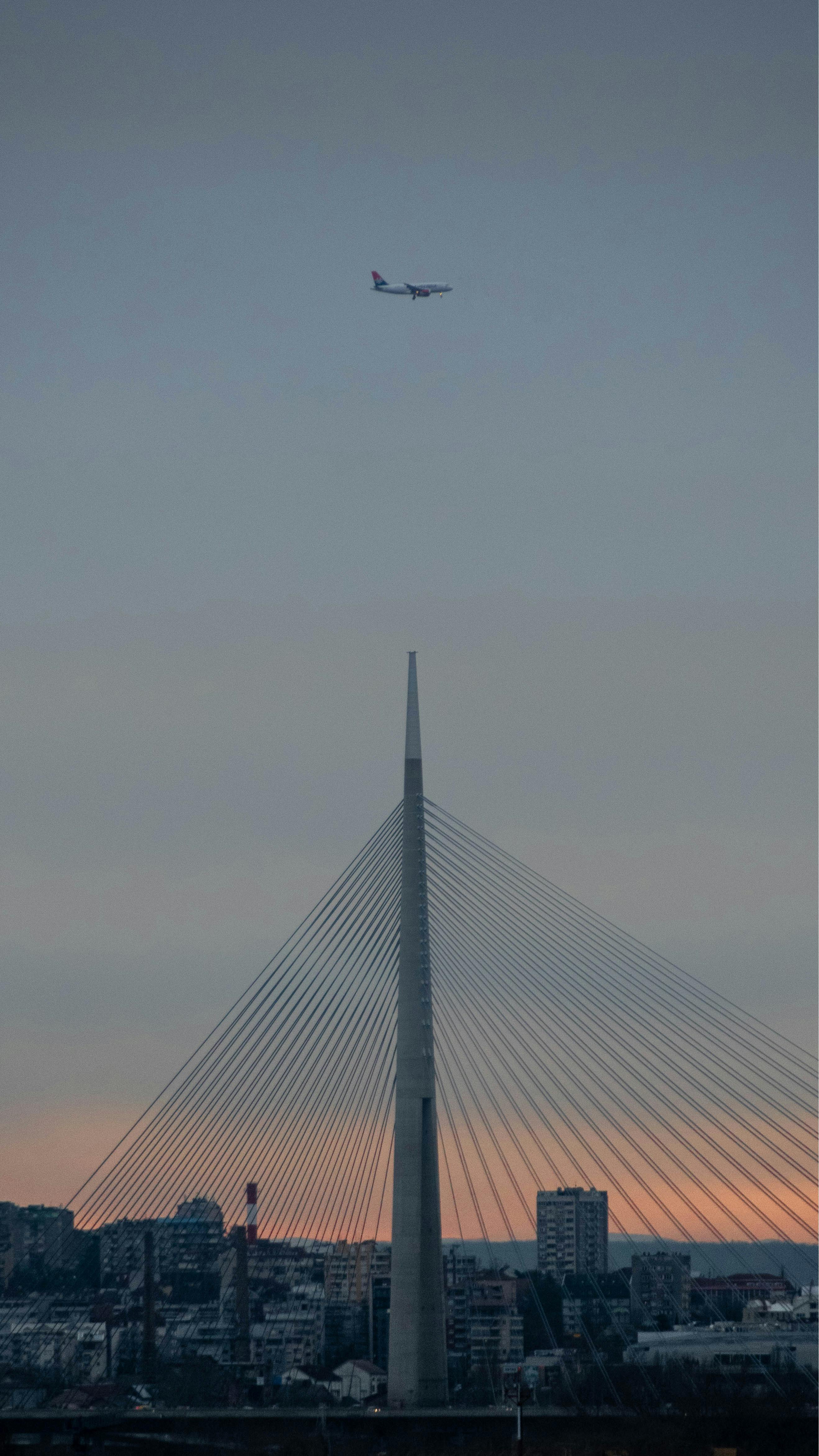 Plane Flying over Ada Bridge in Belgrade at Dusk · Free Stock Photo