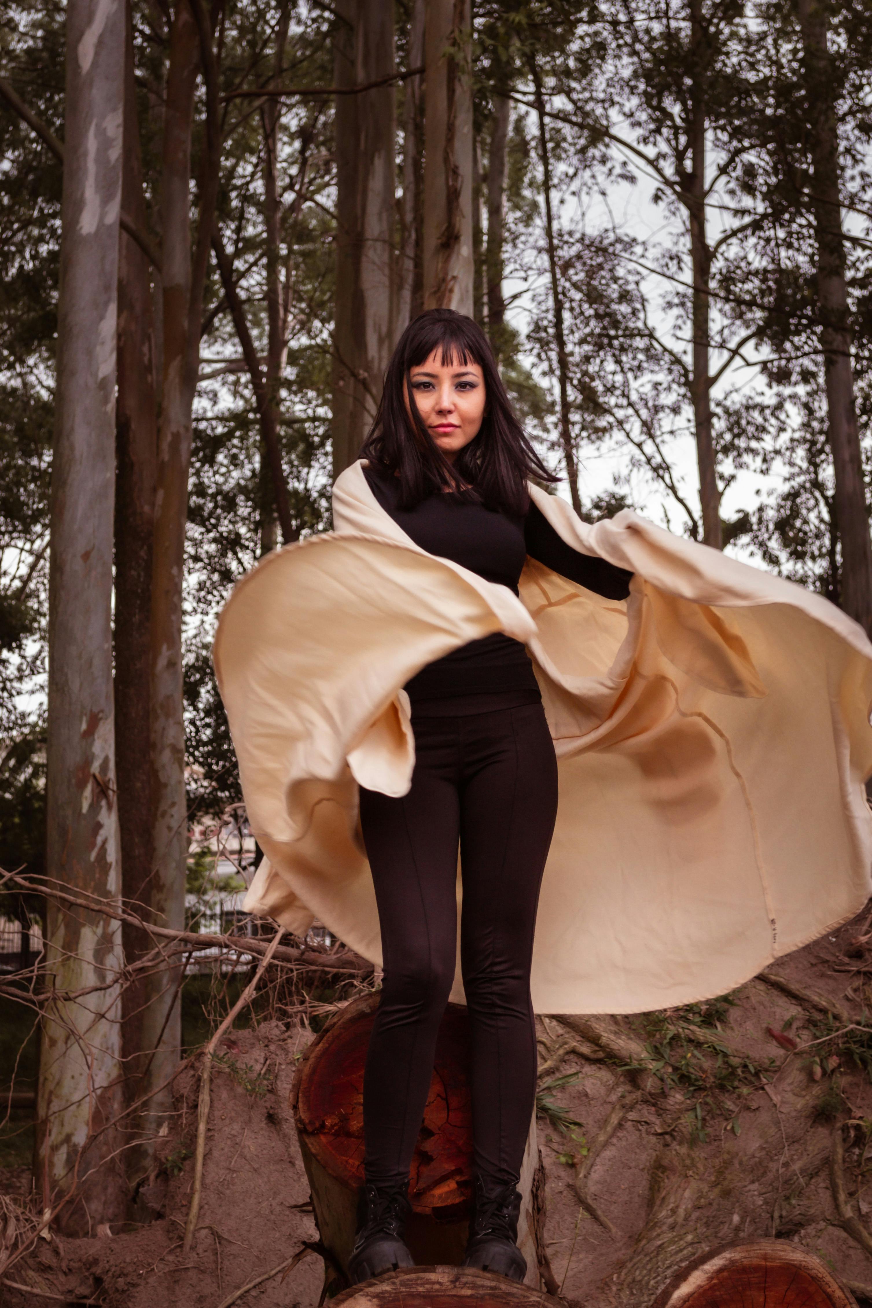 Forest Mess Photos, Download The BEST Free Forest Mess Stock Photos ...