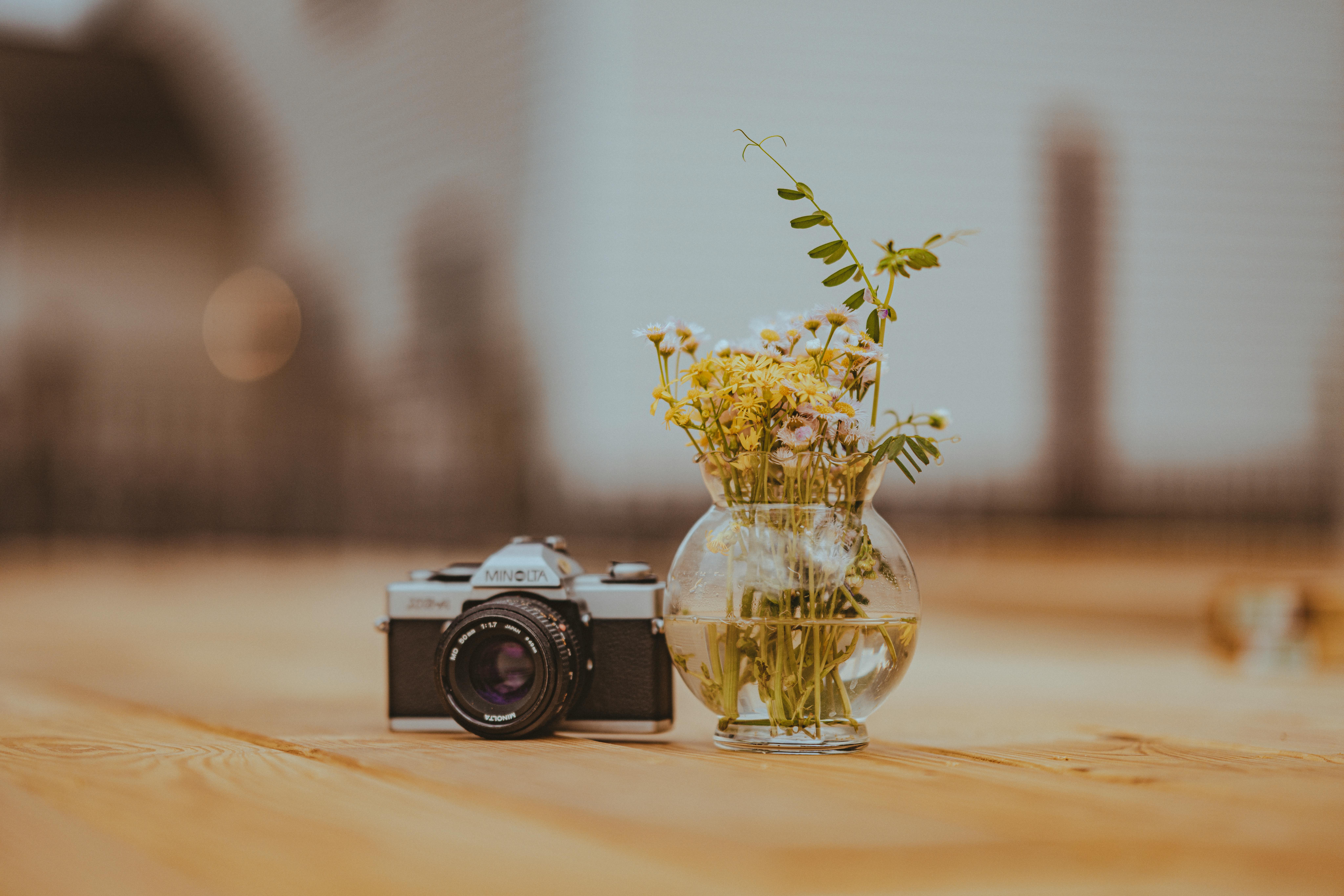 Camera and Flowers in Bowl · Free Stock Photo