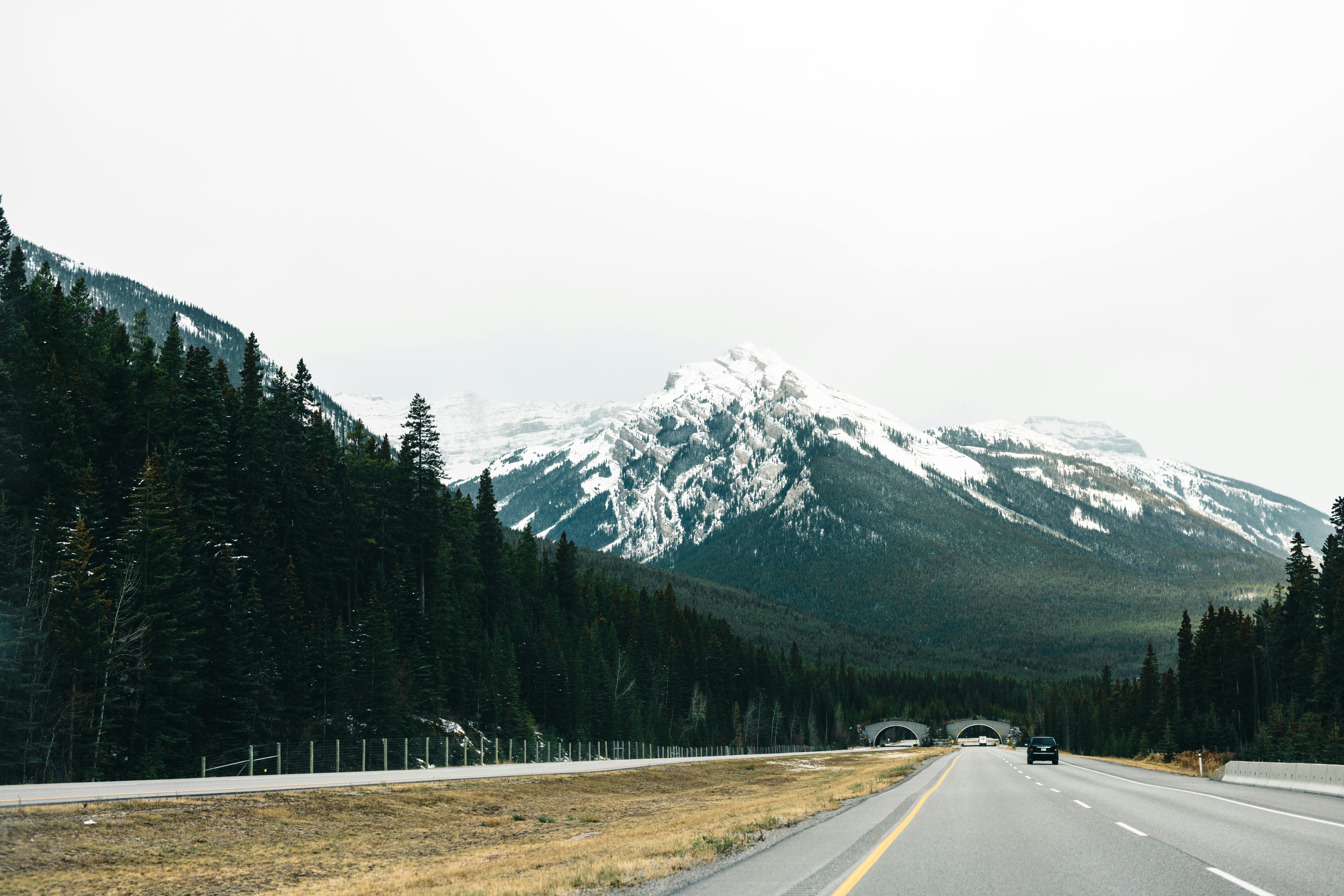 The road to Banff National Park · Free Stock Photo