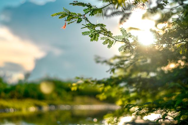 Why Focus Is Important for Success and Boosting Productivity