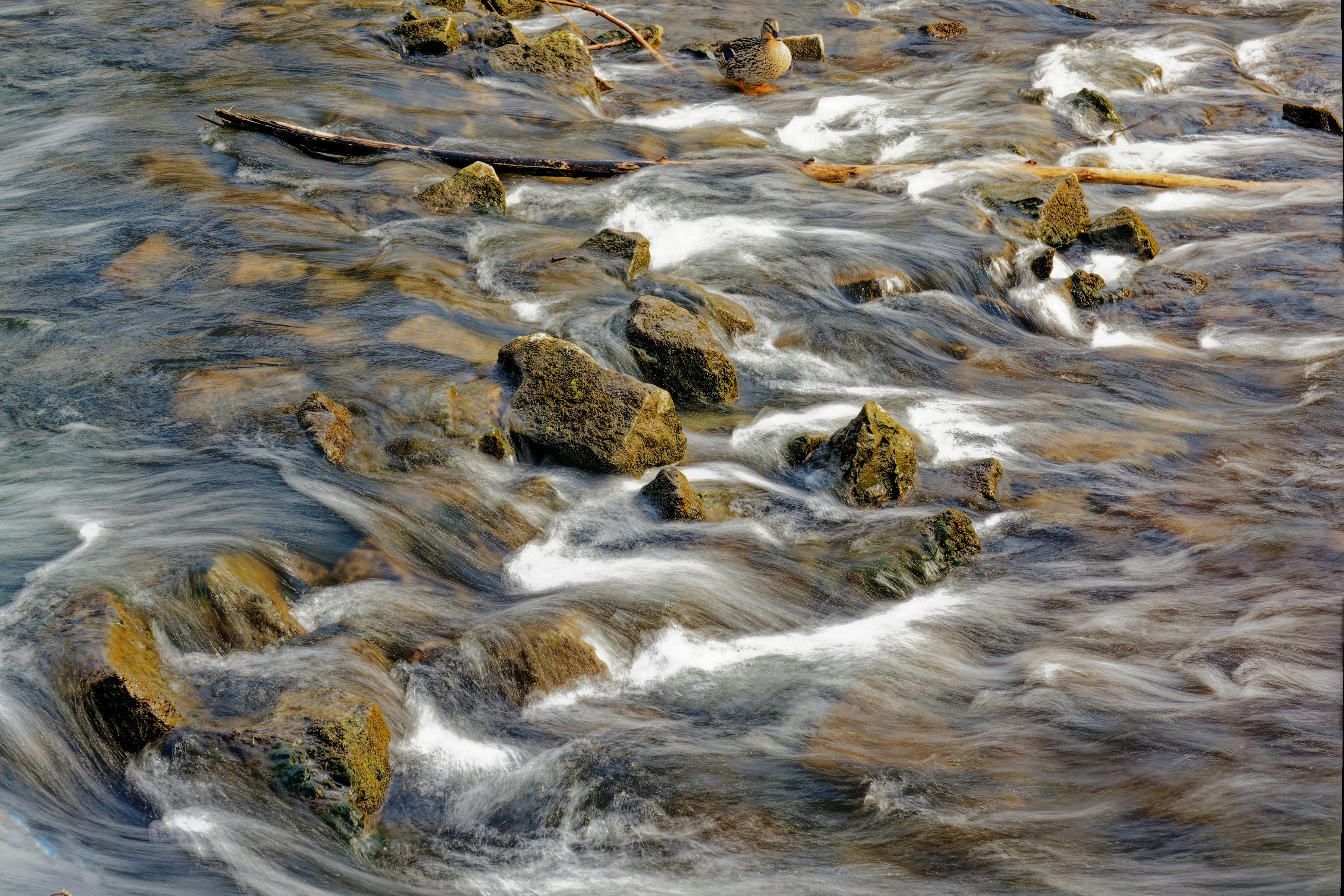 Projectile Motion Photos, Download The BEST Free Projectile Motion ...