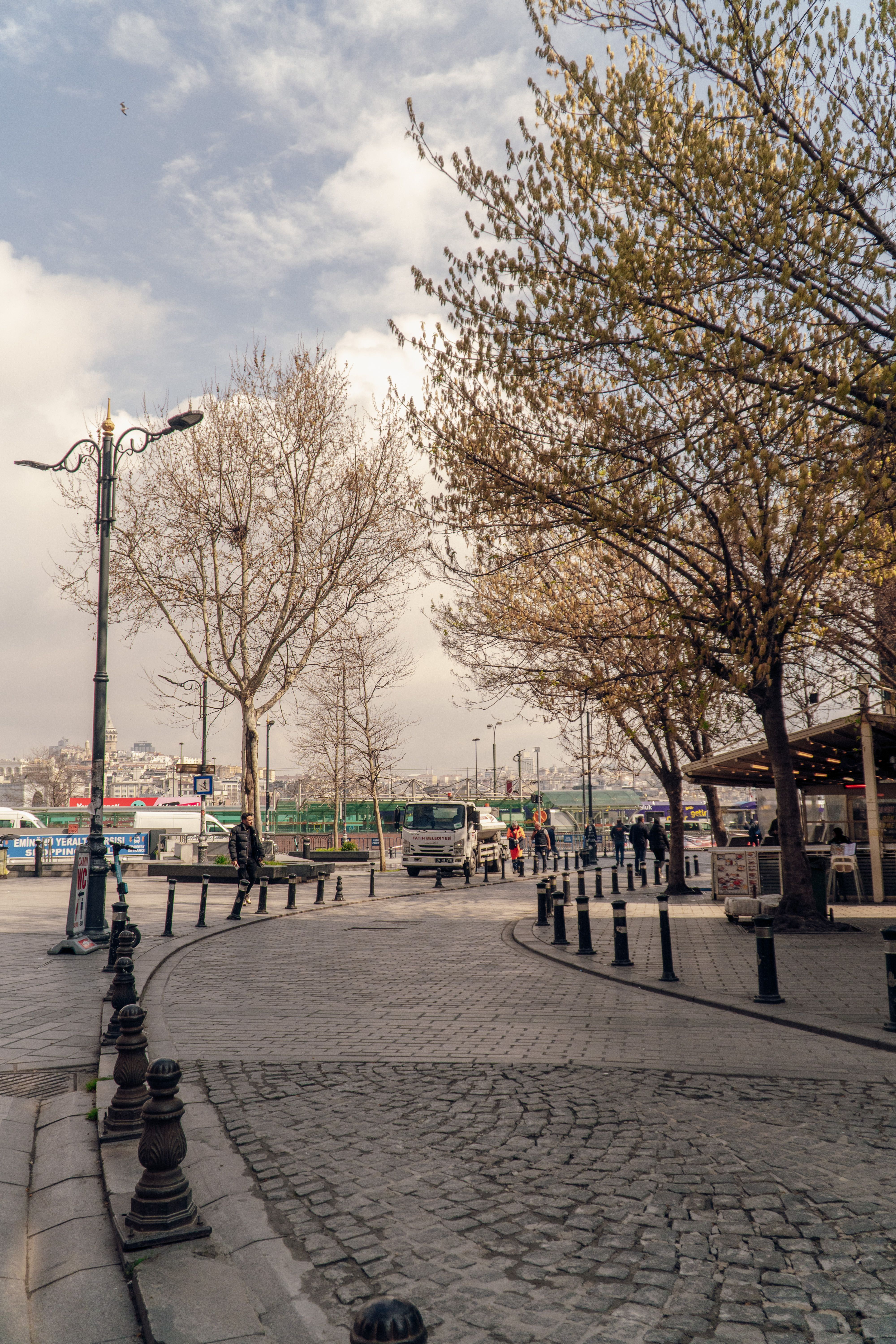 Large Trees Growing between a Street and a Sidewalk in City · Free ...