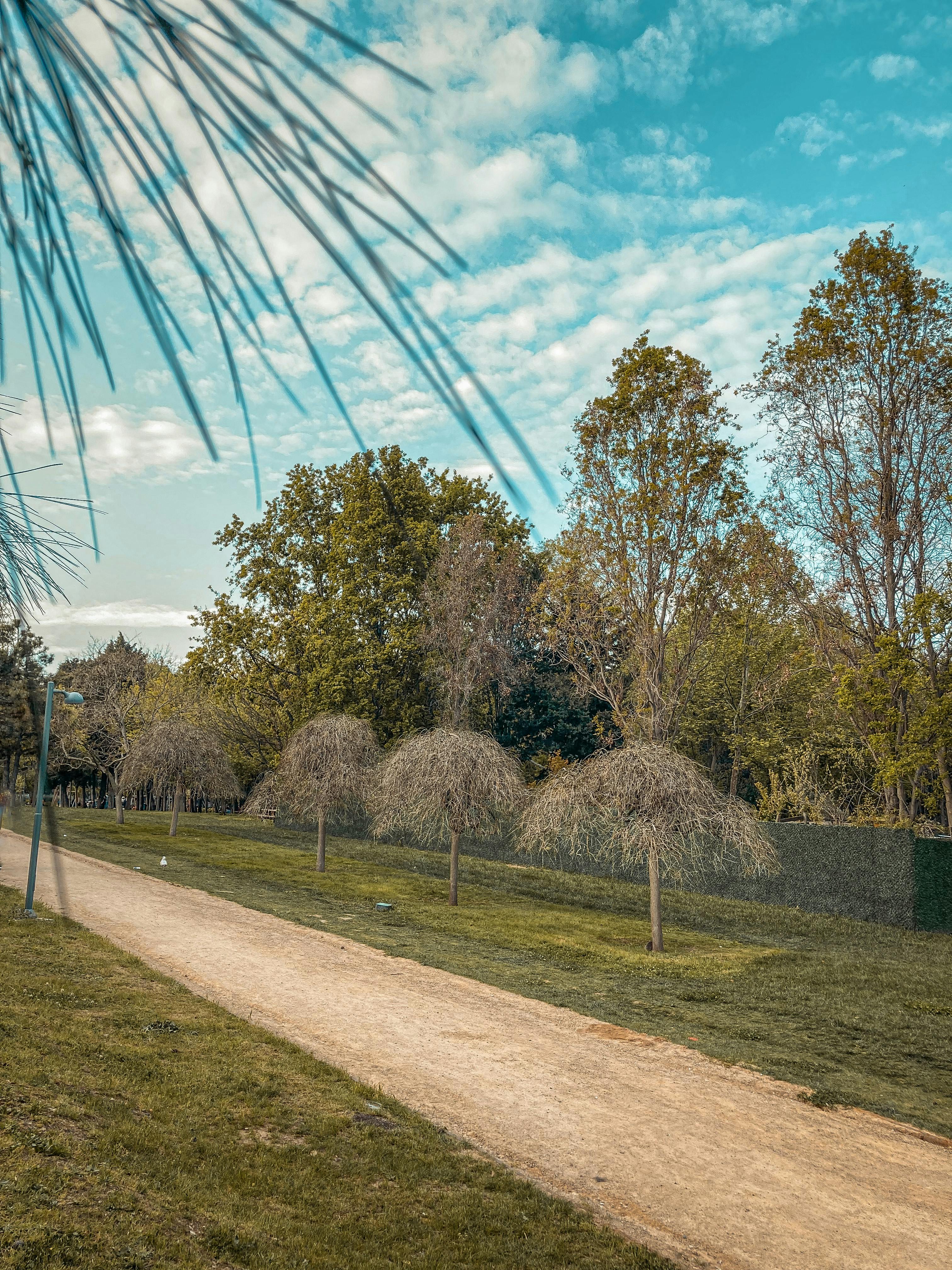 Pathway Map Photos, Download The BEST Free Pathway Map Stock Photos ...