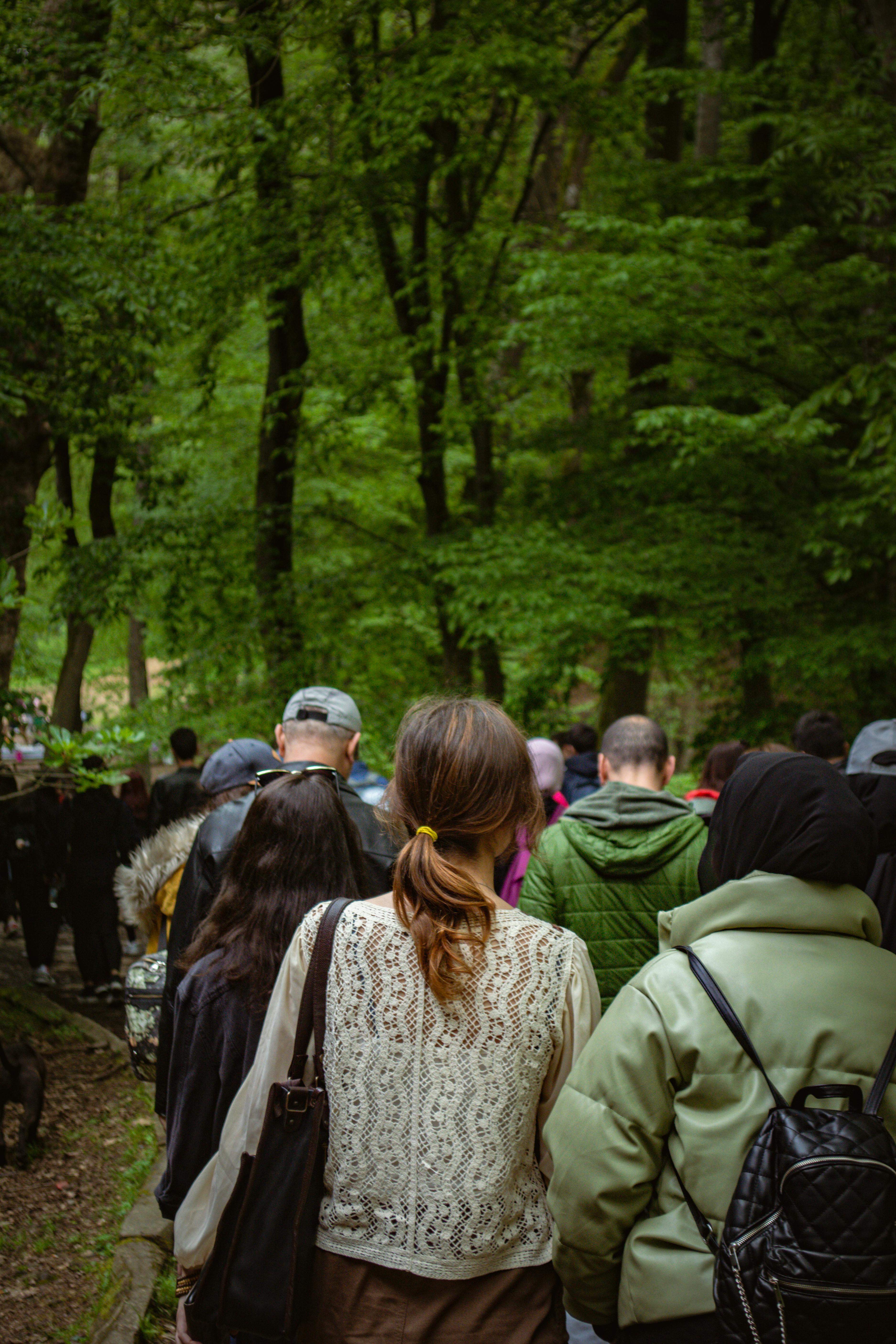 A Group of Men Hiking in a Forest · Free Stock Photo