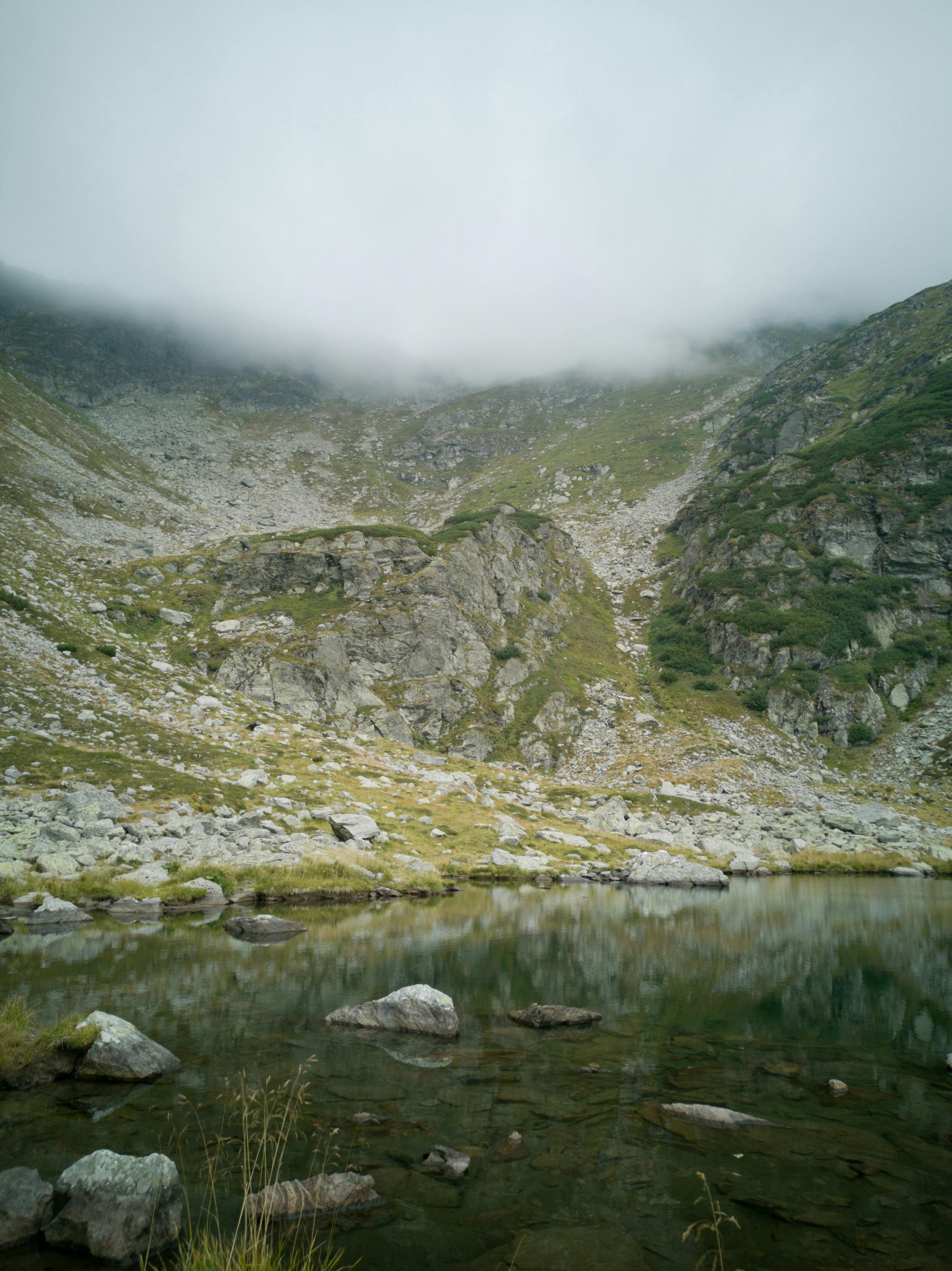 Hidden In Nature Photos, Download The BEST Free Hidden In Nature Stock ...