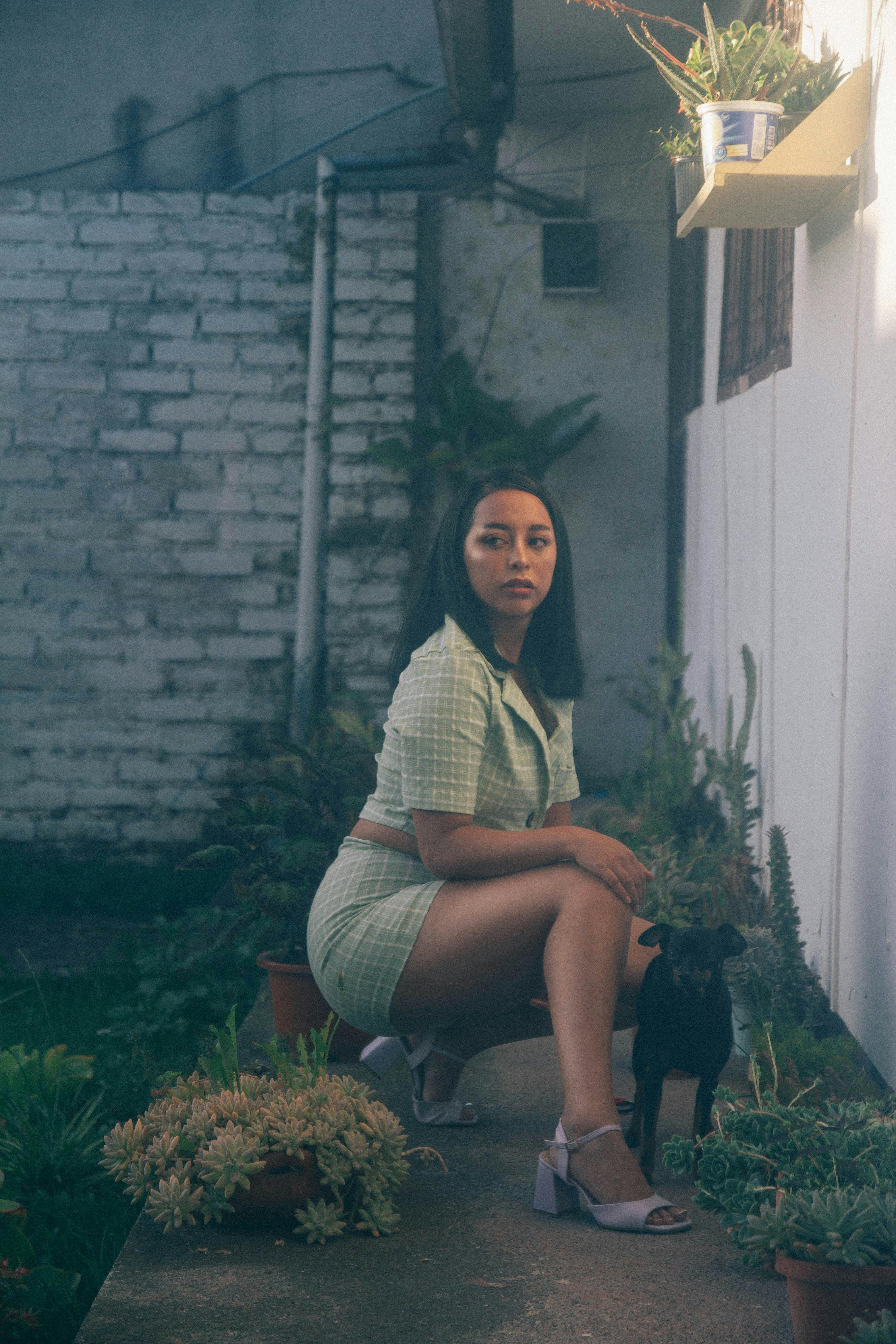 Dog Heeling Photos, Download The BEST Free Dog Heeling Stock Photos ...