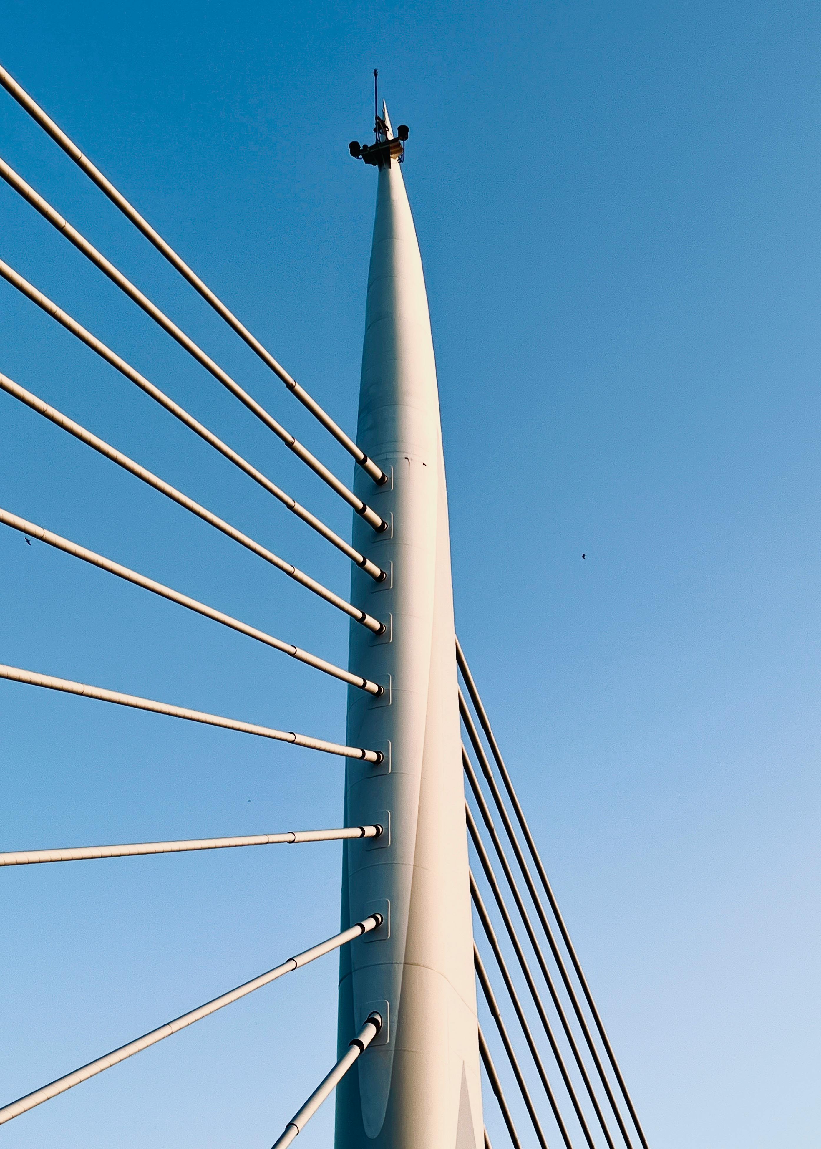 Pylon and Cables of Golden Horn Metro Bridge · Free Stock Photo