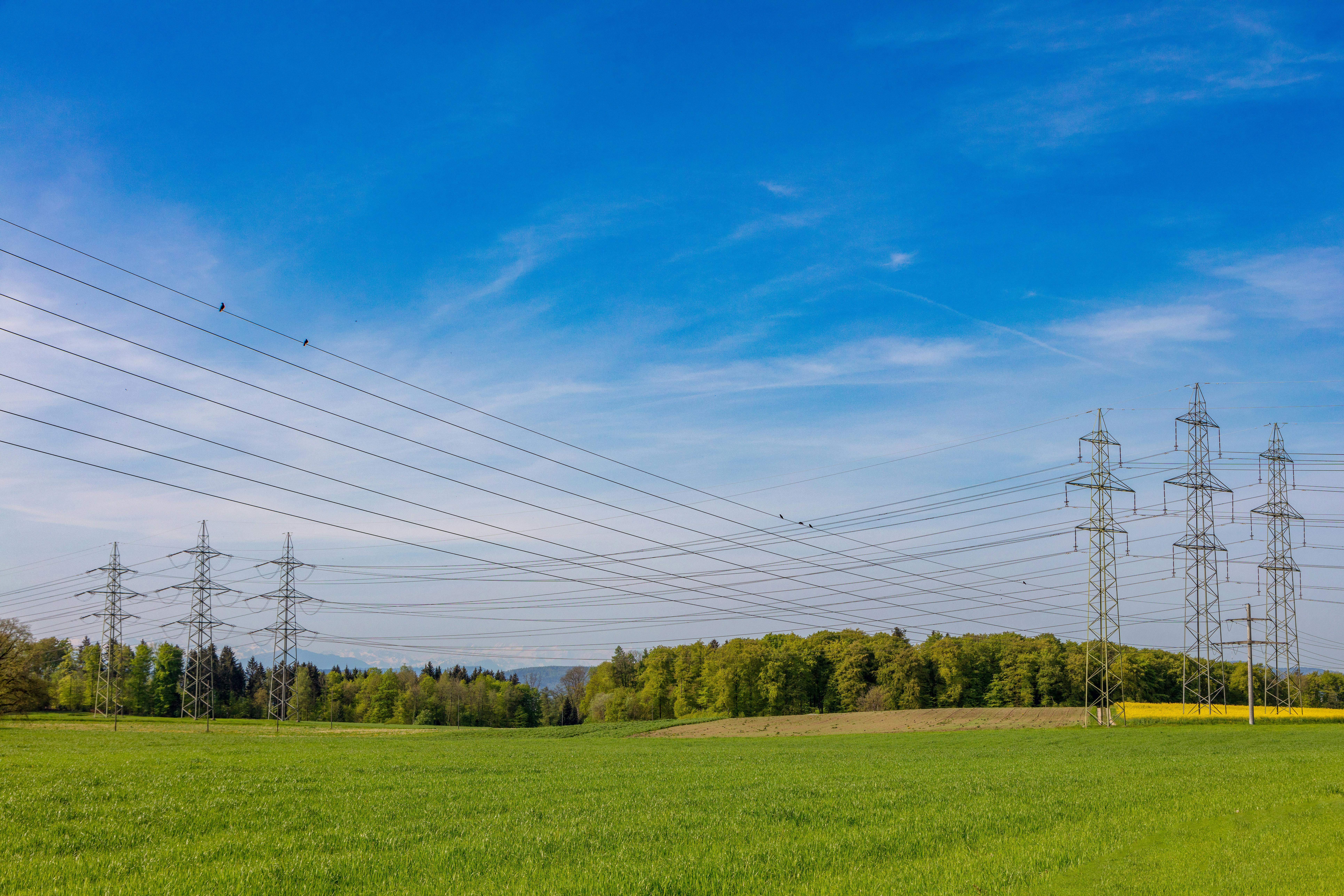 Power Lines on a Field · Free Stock Photo