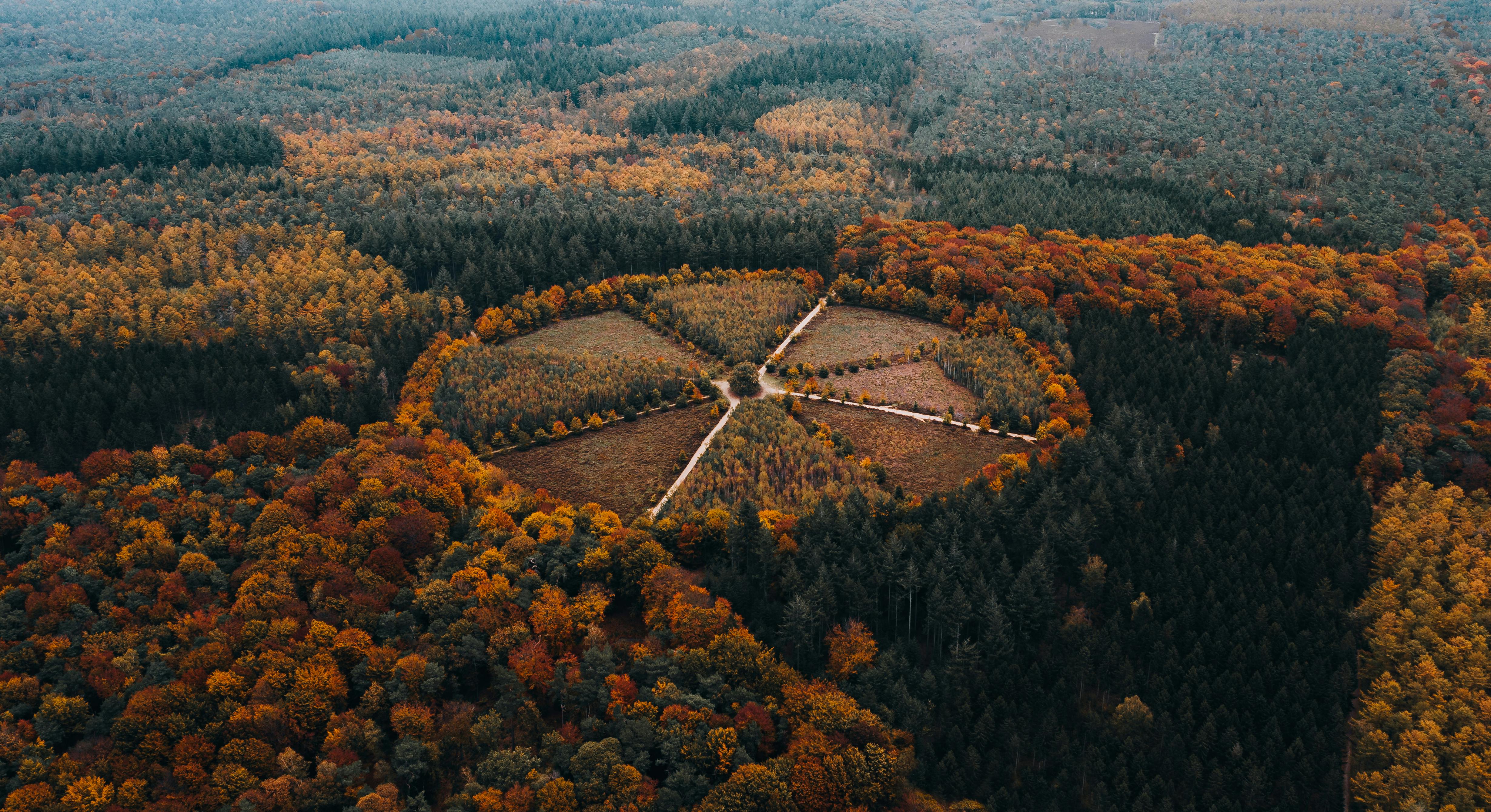 Birds Eye View of a Park and Forest in Autumn · Free Stock Photo