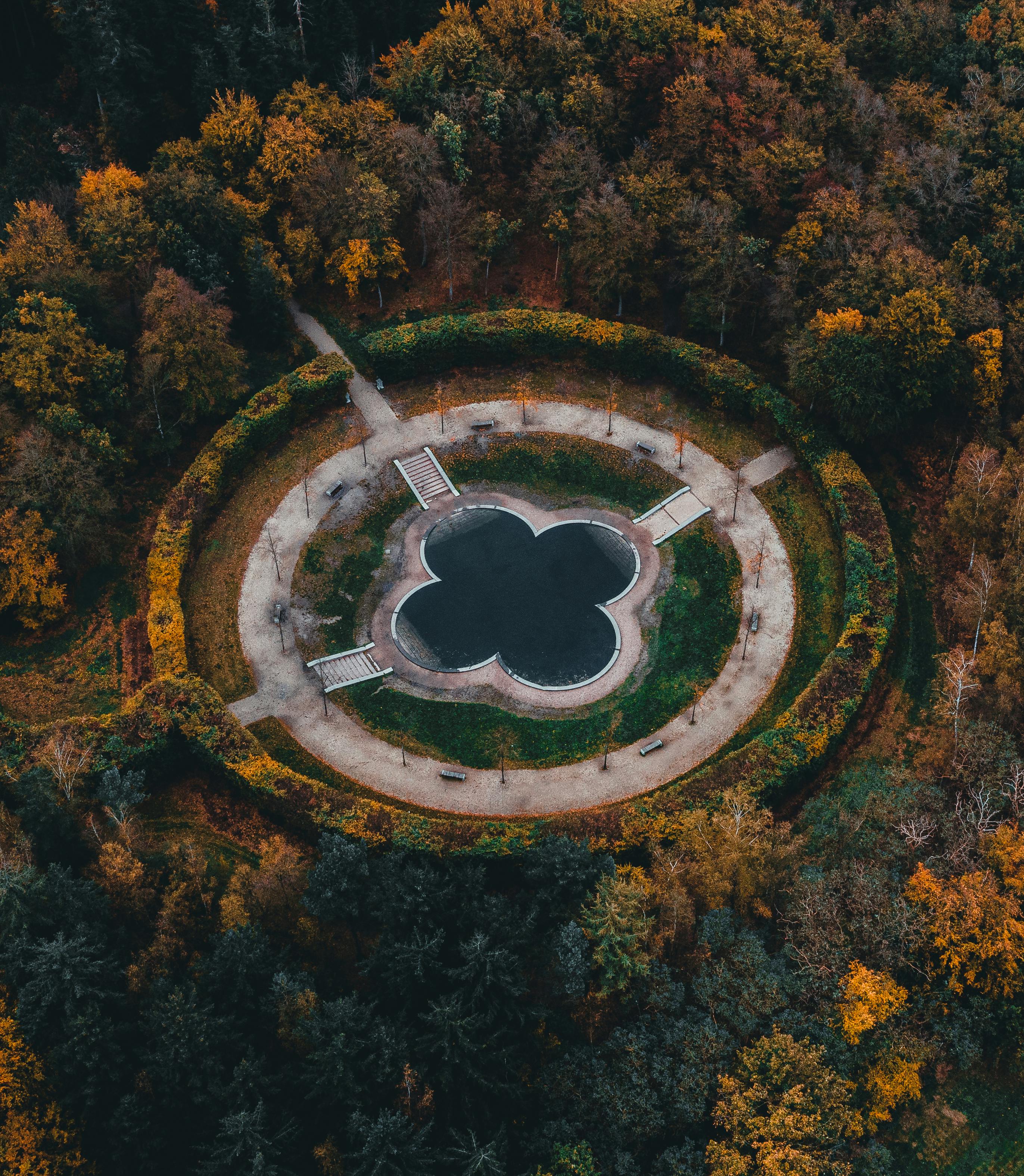 Birds Eye view of a Park in Autumn · Free Stock Photo