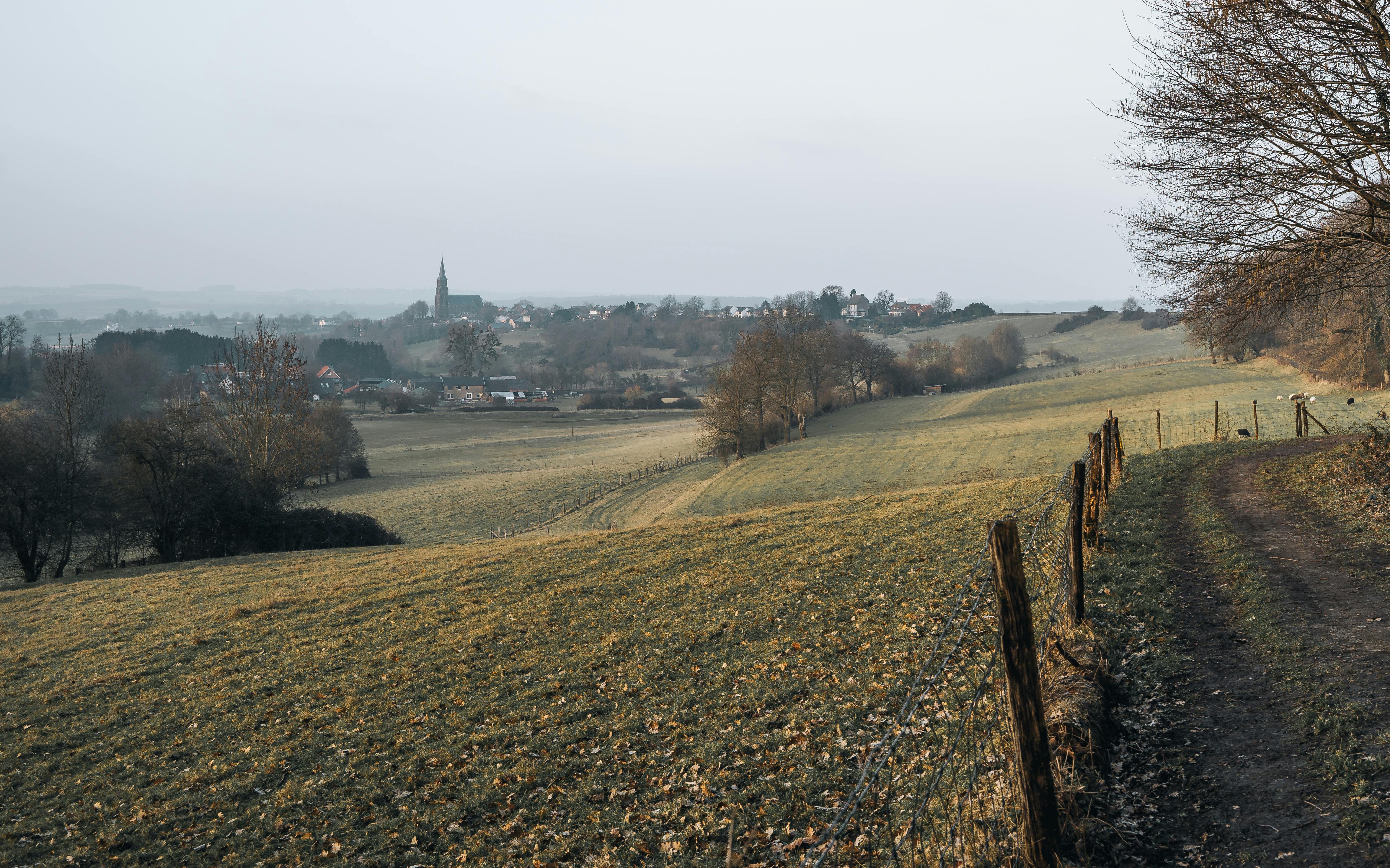 Landscape of Rural Fields and a Skyline of a Town in the Background ...