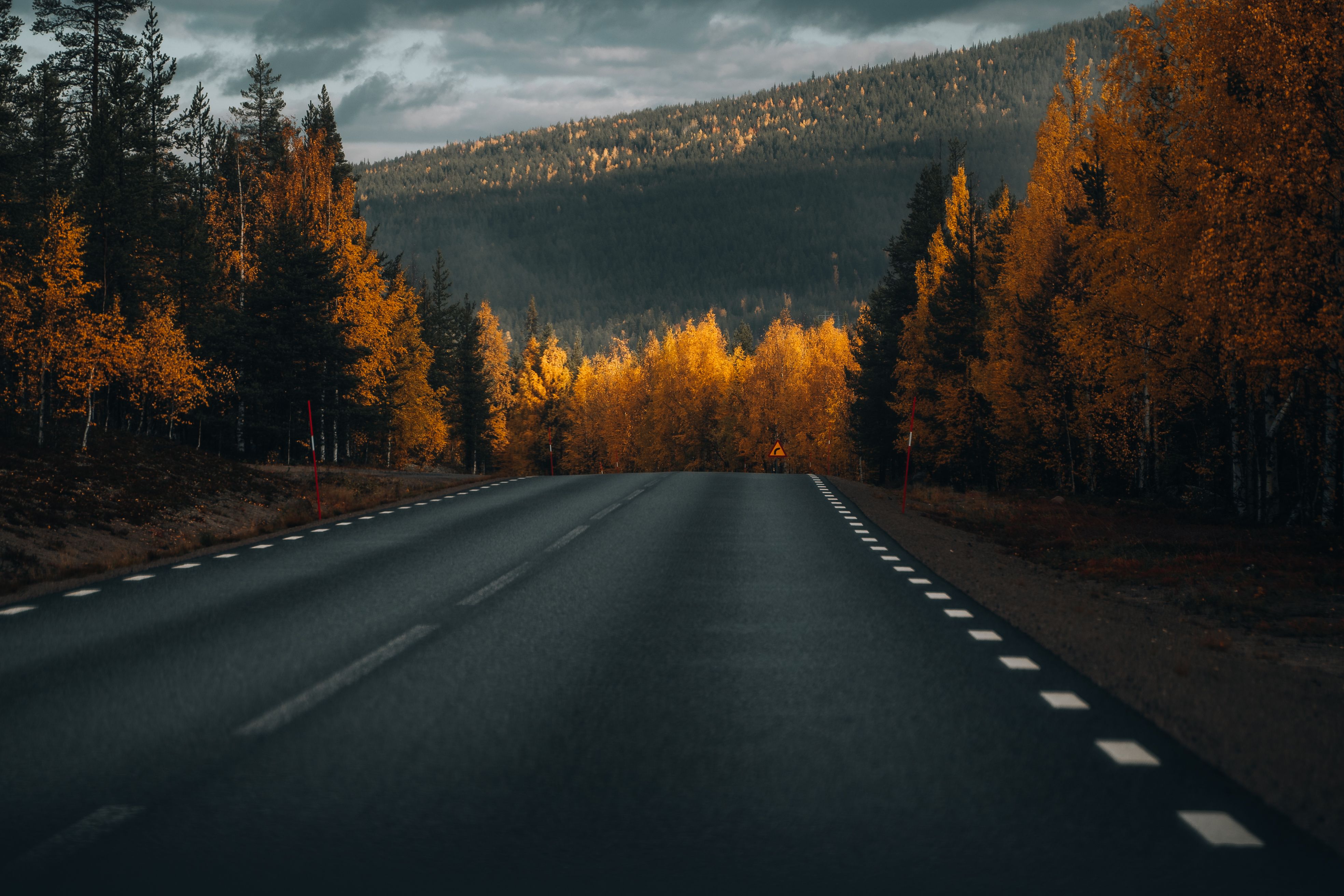 Highway in Autumn Forest · Free Stock Photo
