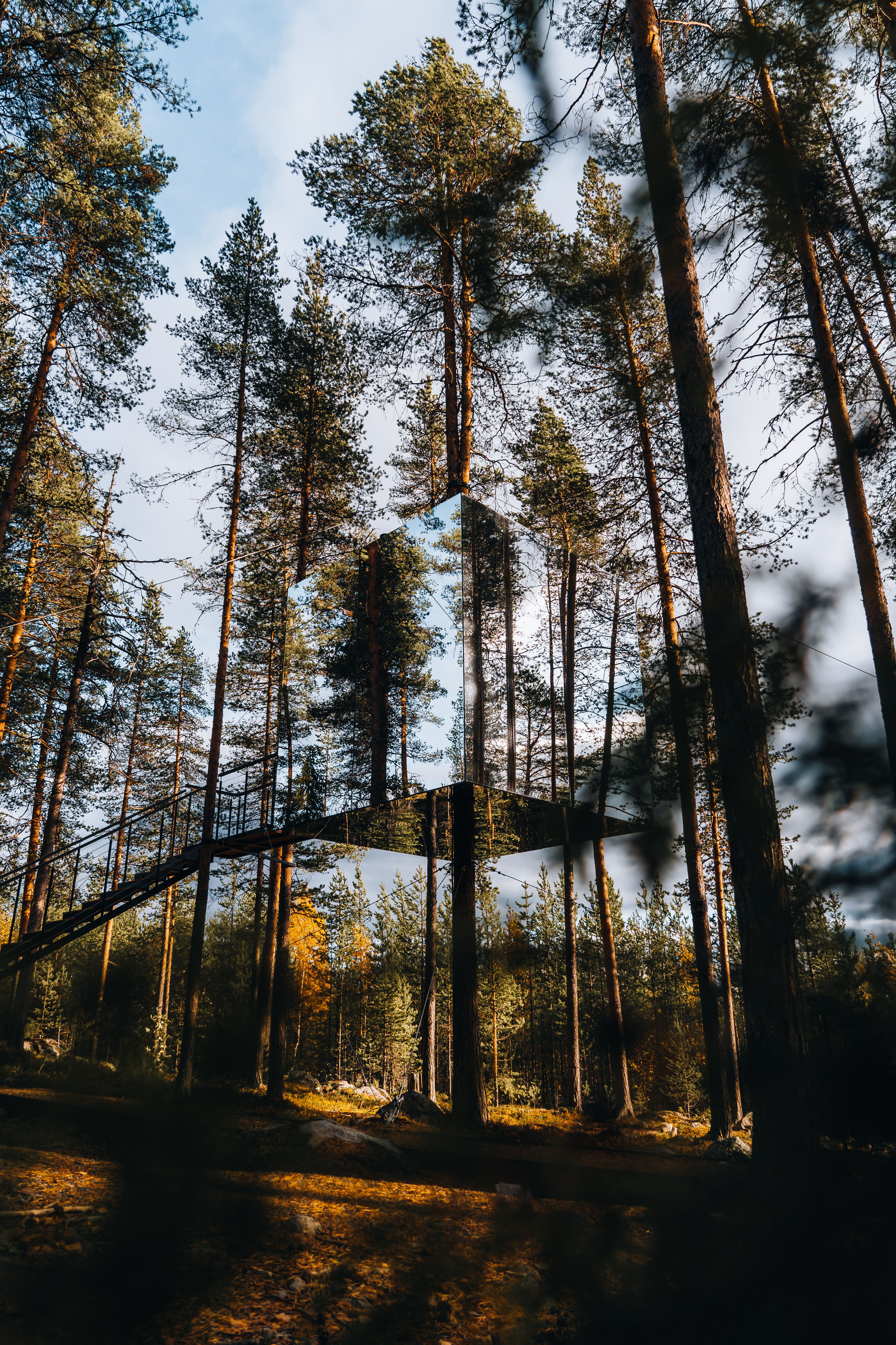 Observation Platform in a Forest · Free Stock Photo