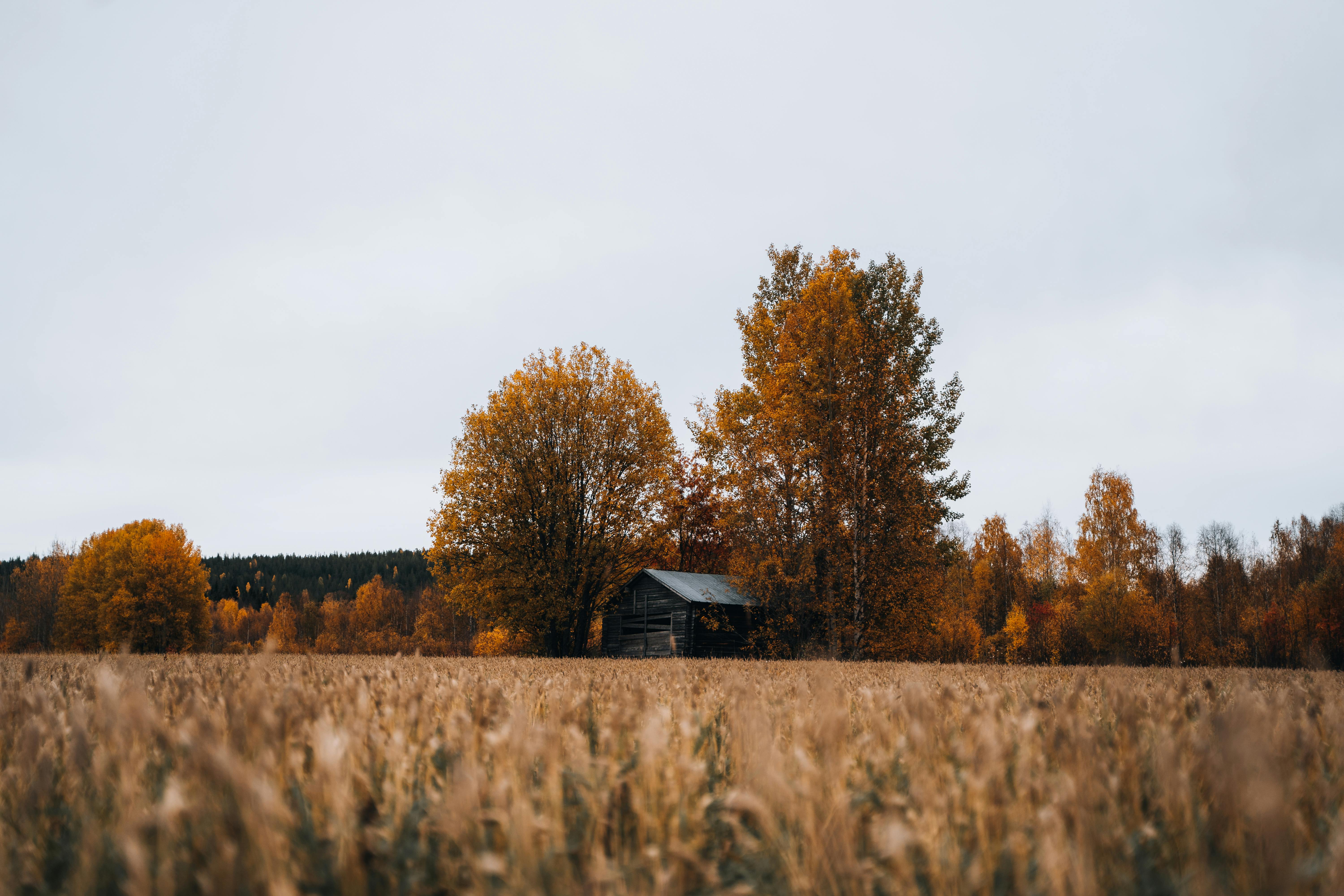 Fall Farmhouse Photos, Download The BEST Free Fall Farmhouse Stock ...