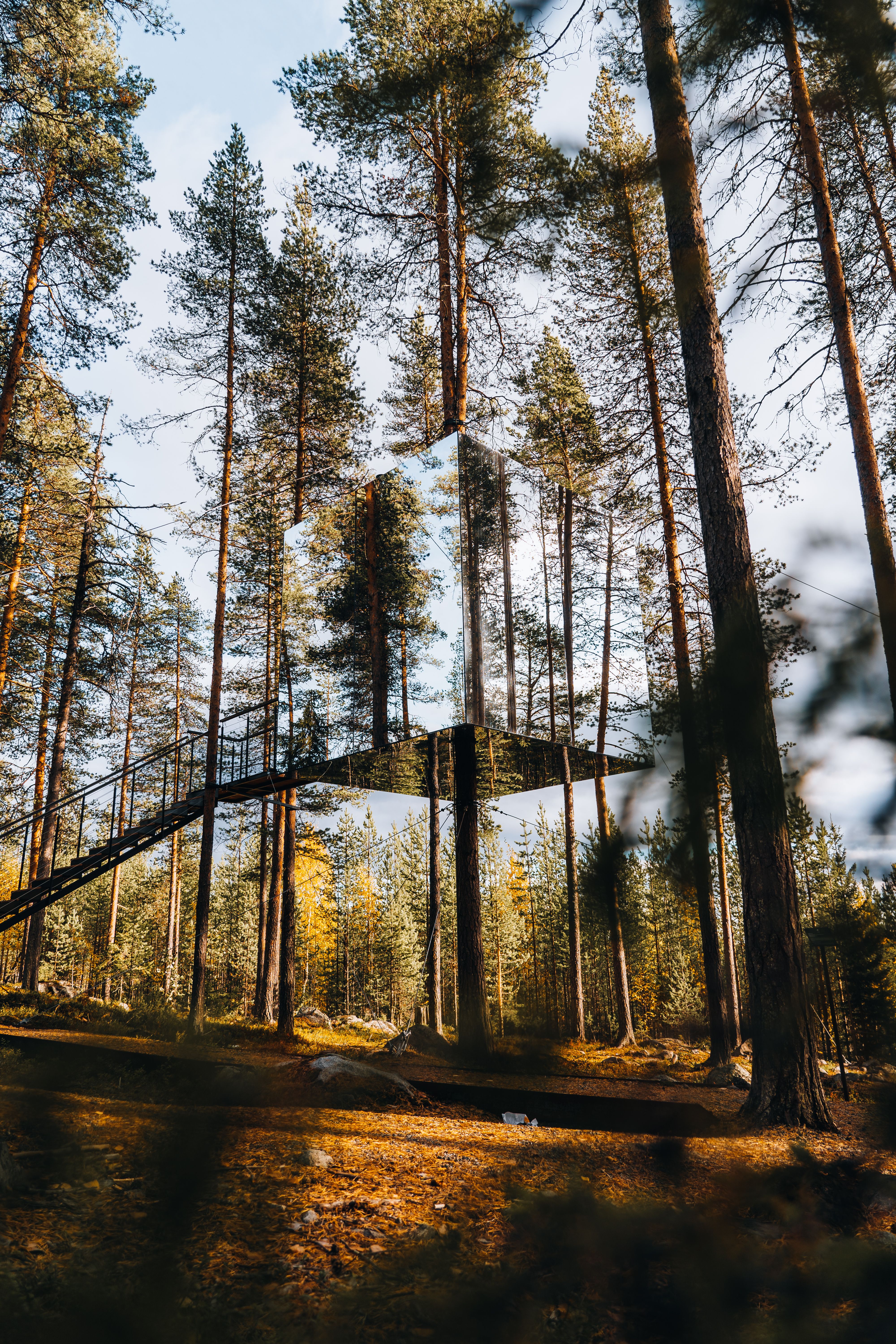 Observation Platform in a Forest · Free Stock Photo