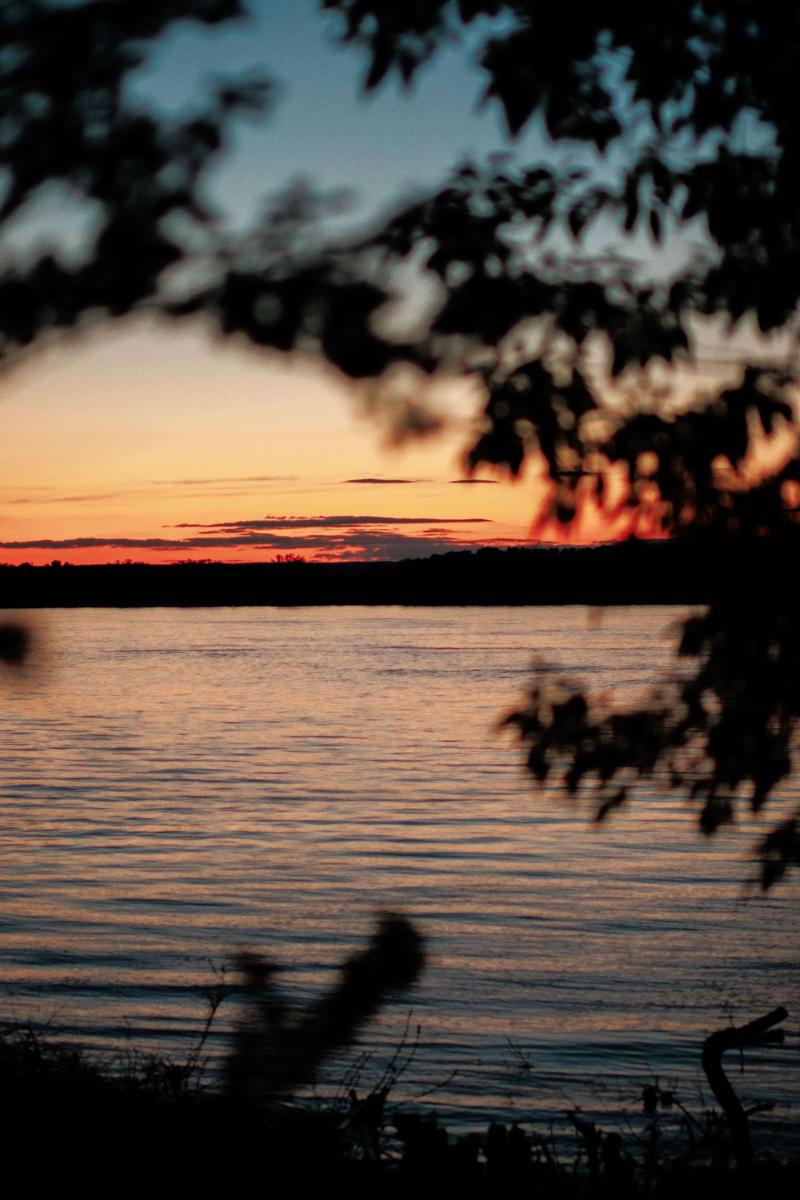 Pink Sunset Photos, Download The BEST Free Pink Sunset Stock Photos ...