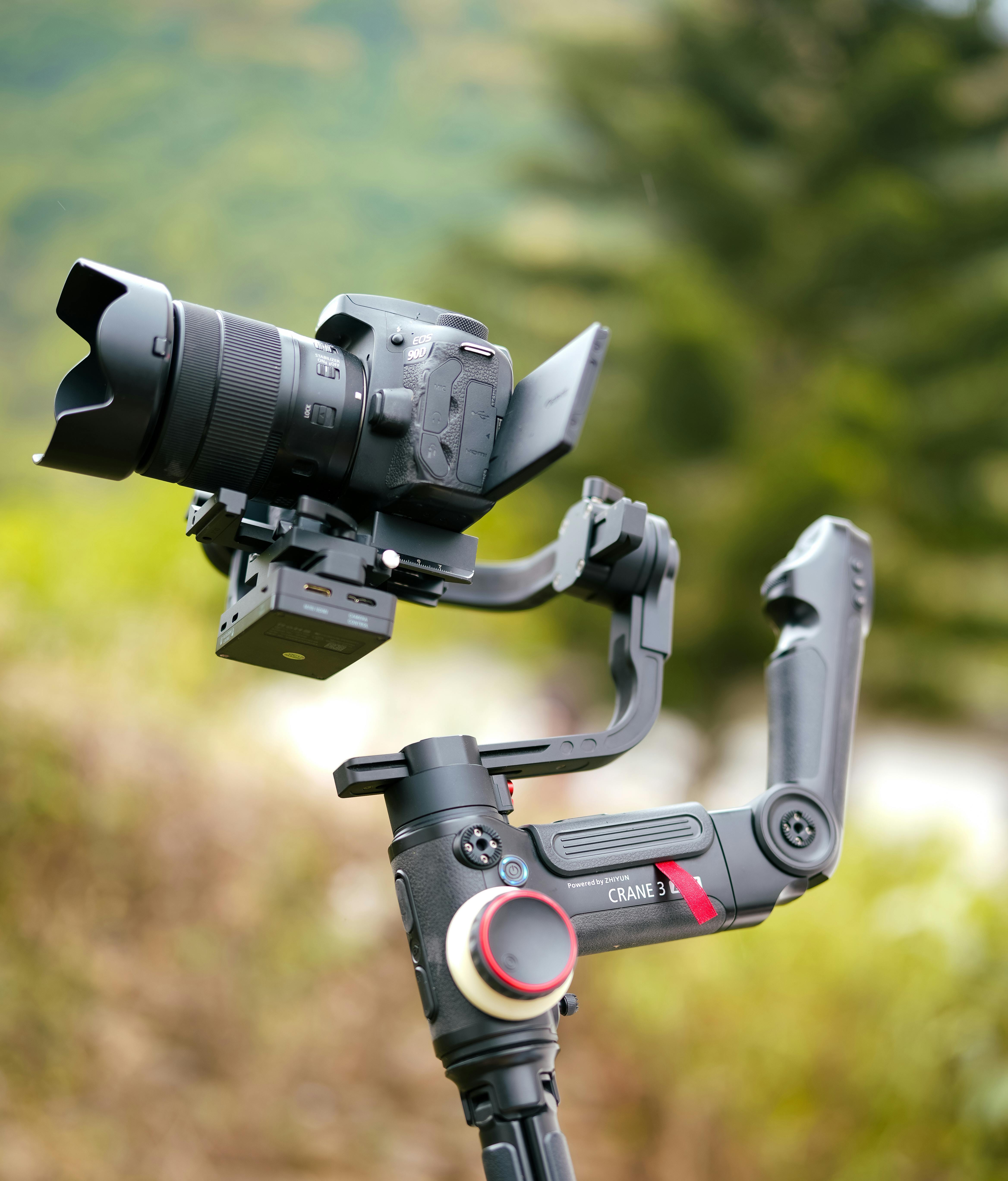 Photography Backdrops Photos, Download The BEST Free Photography ...