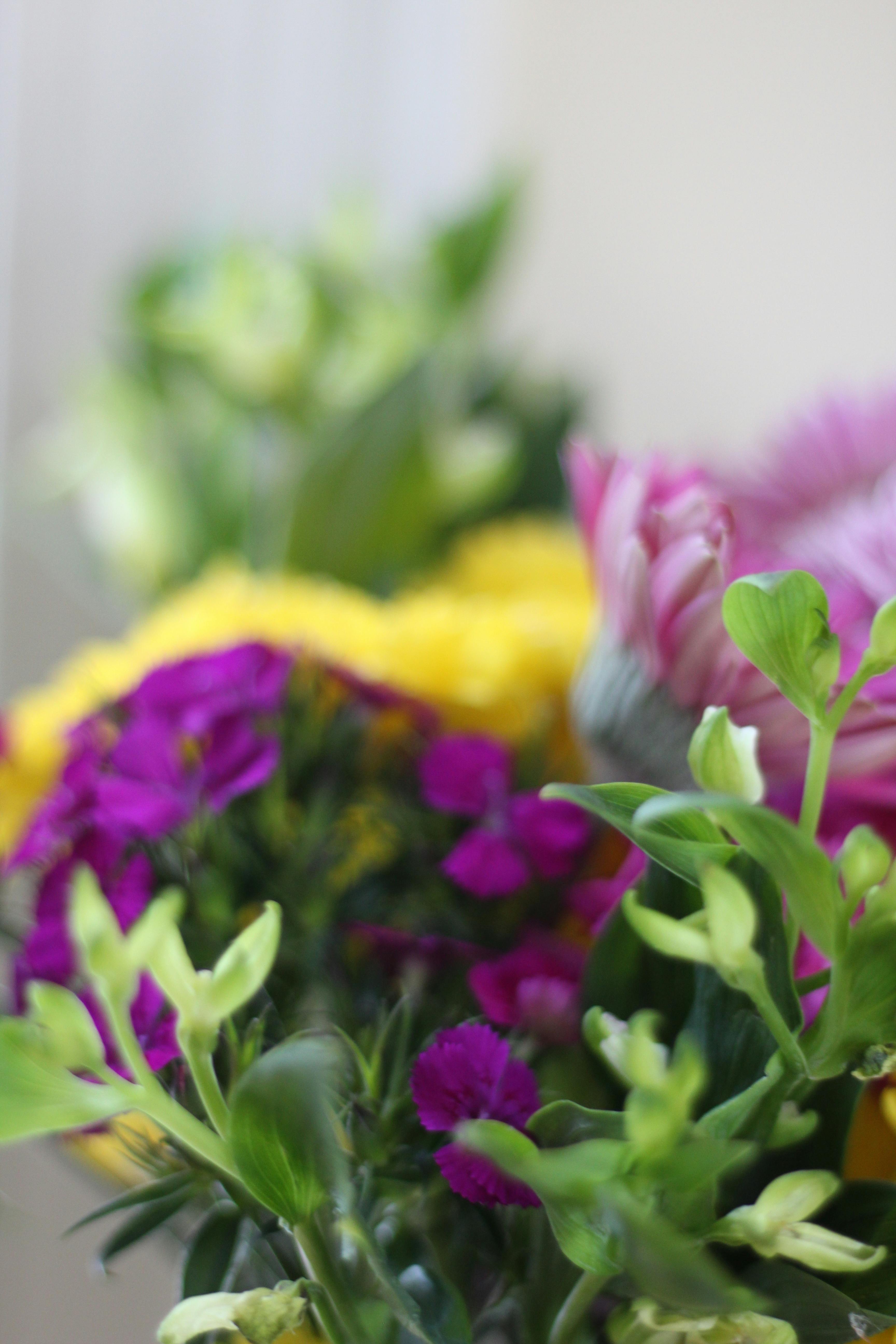 Bouquet of Flowers 6 Photos & Videos Collected by Kalei Winfield