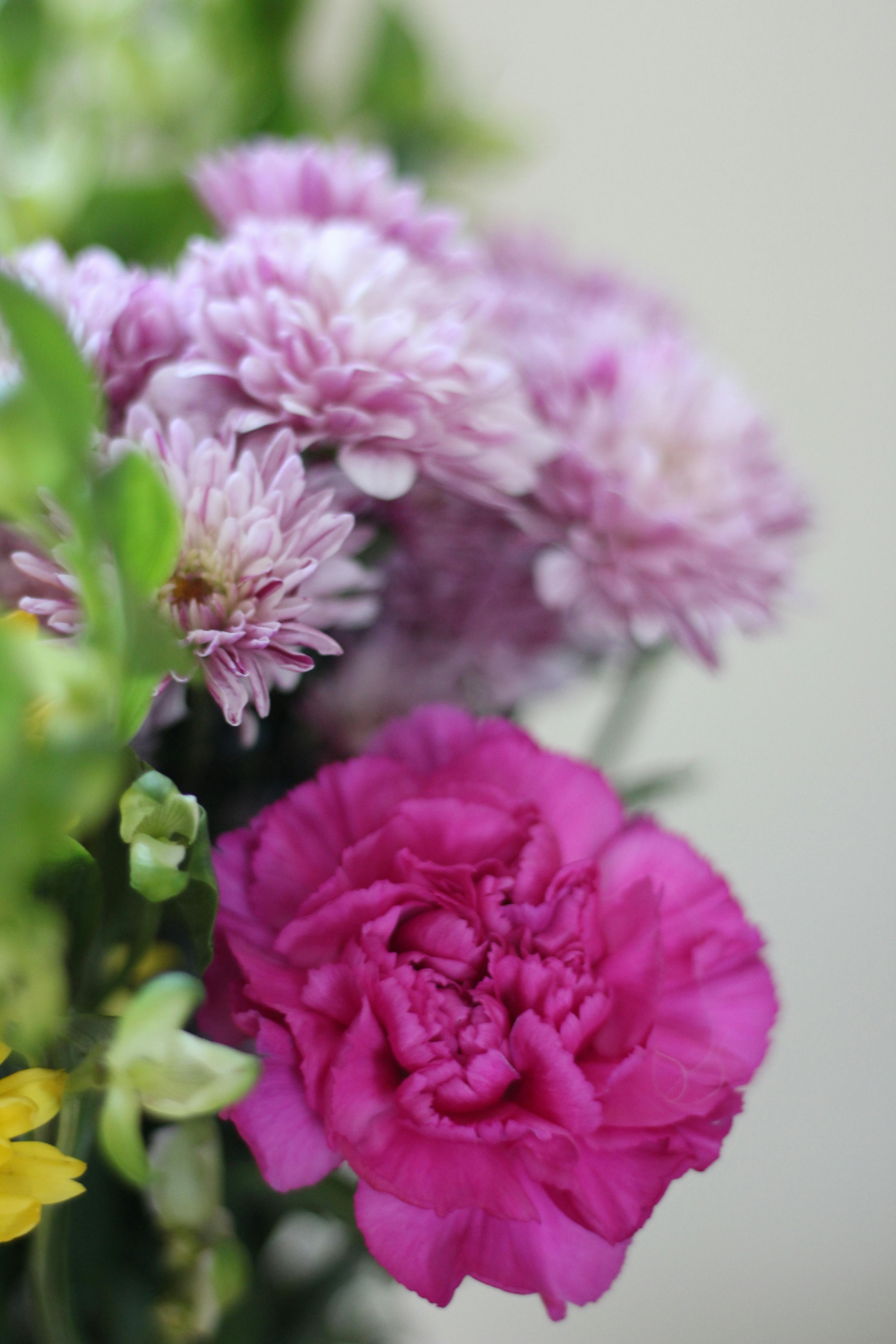 Bouquet of Flowers 6 Photos & Videos Collected by Kalei Winfield