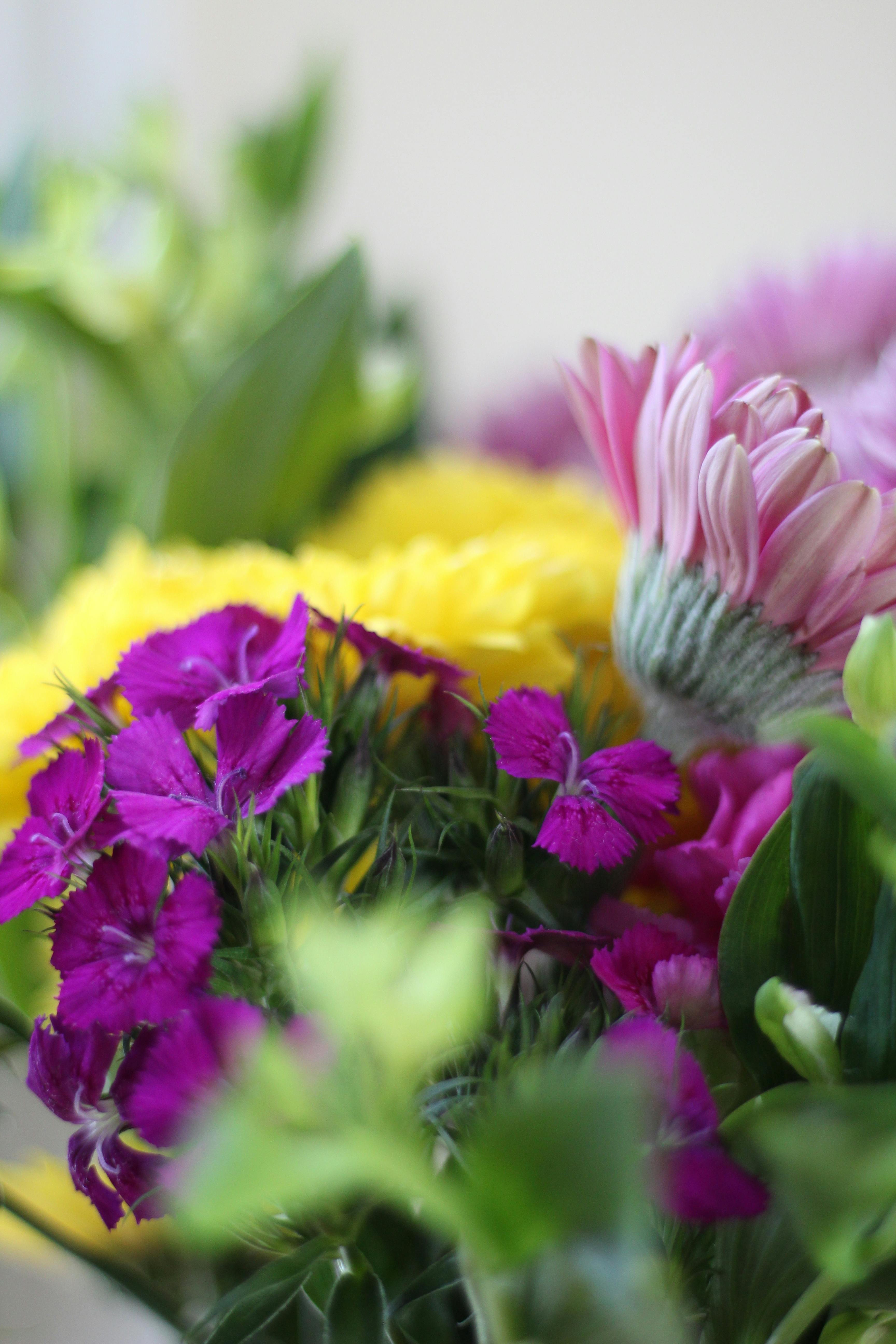 Bouquet of Flowers 6 Photos & Videos Collected by Kalei Winfield