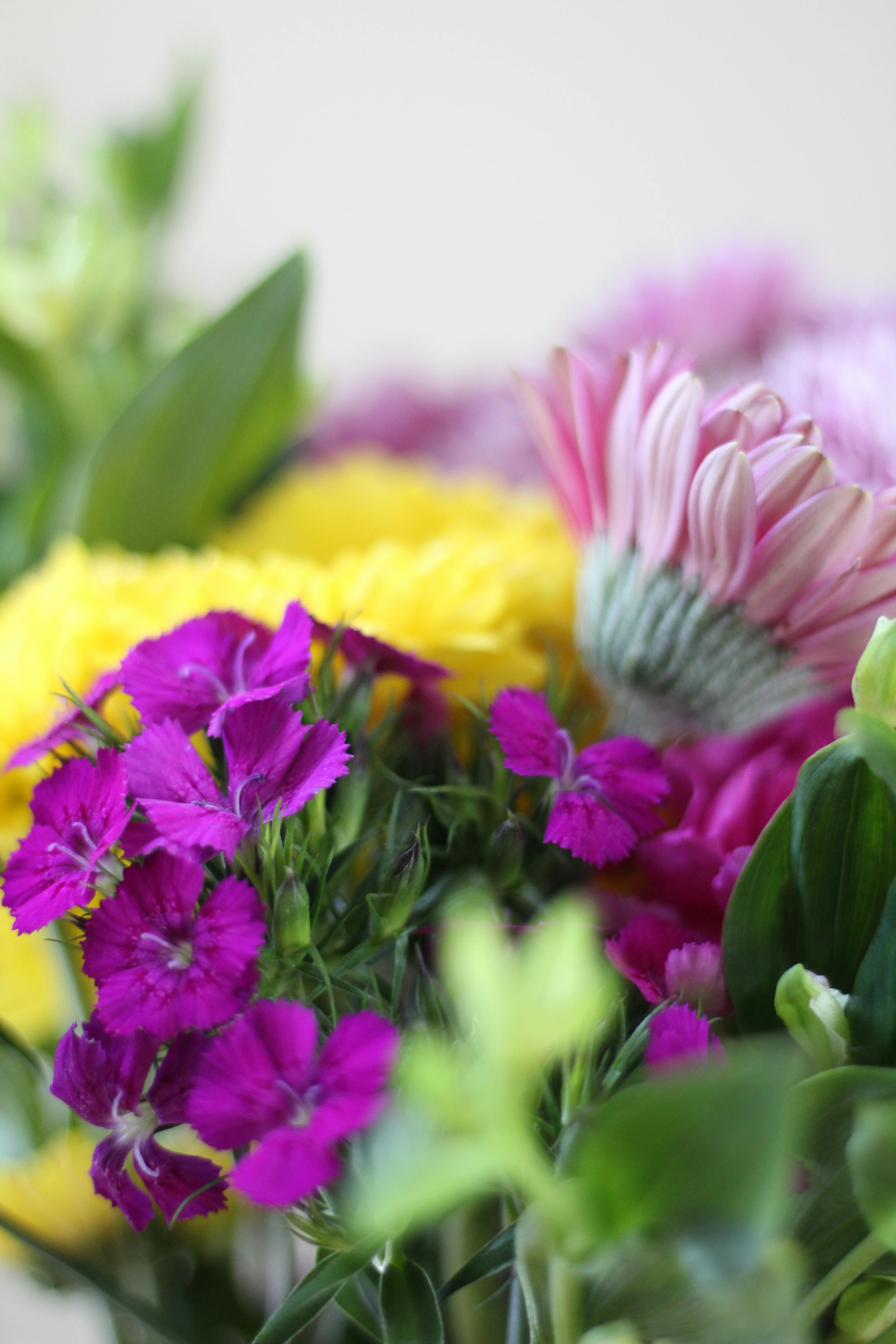 6 fotos y vídeos de Bouquet of Flowers guardados por Kalei Winfield