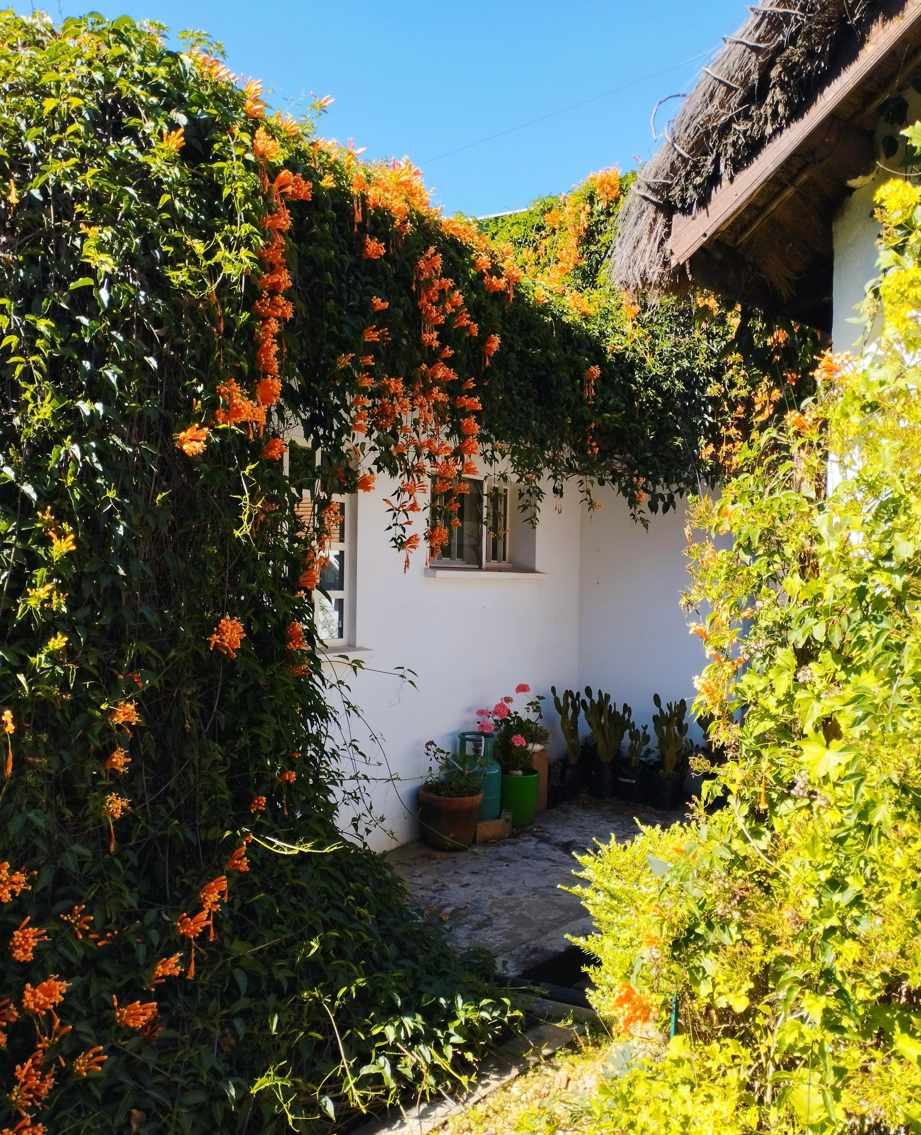 Nantenaina Andrianjaka - Photographie