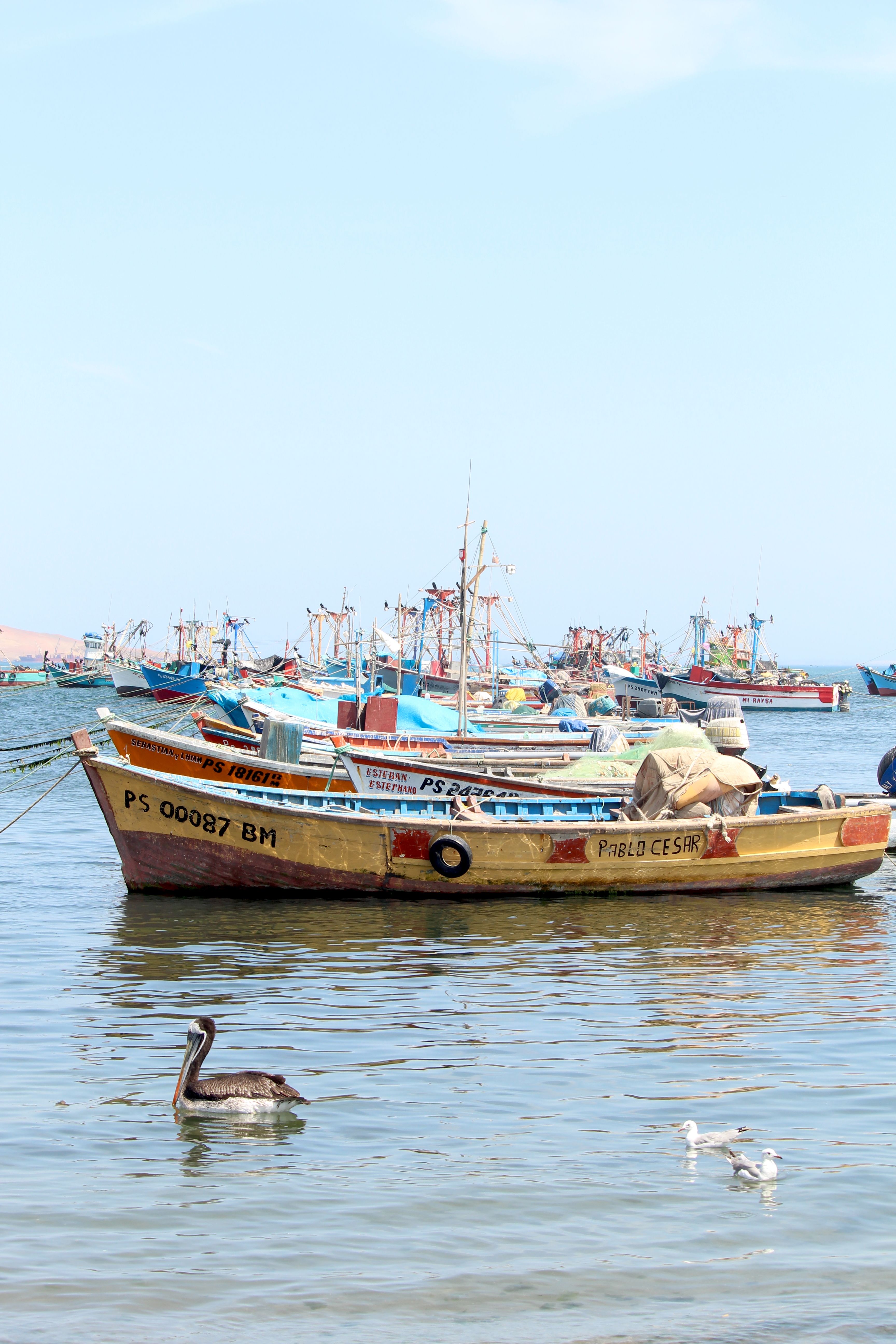 Fishing Boats on Seashore · Free Stock Photo