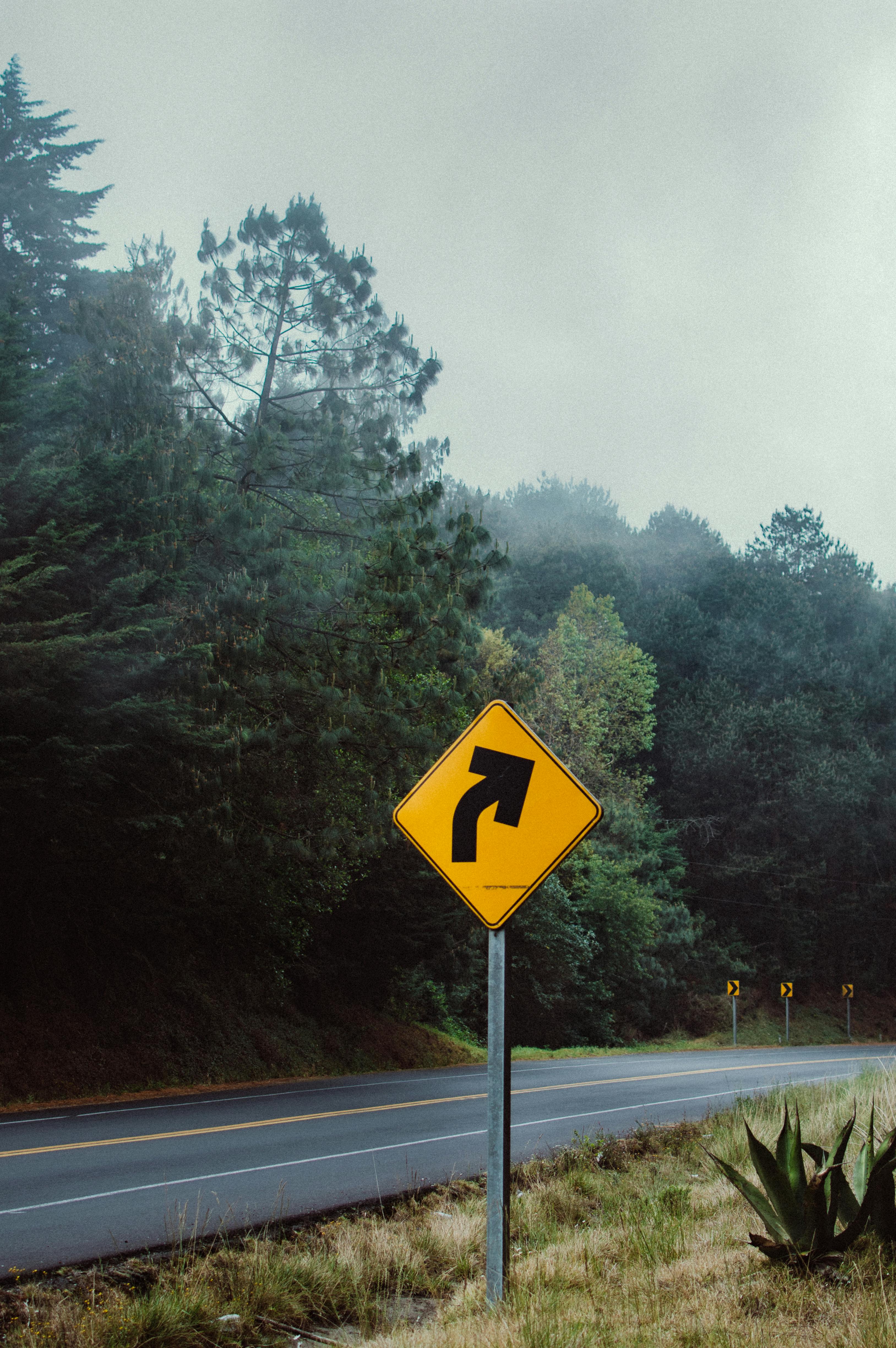 Road Sign near Road in Forest · Free Stock Photo