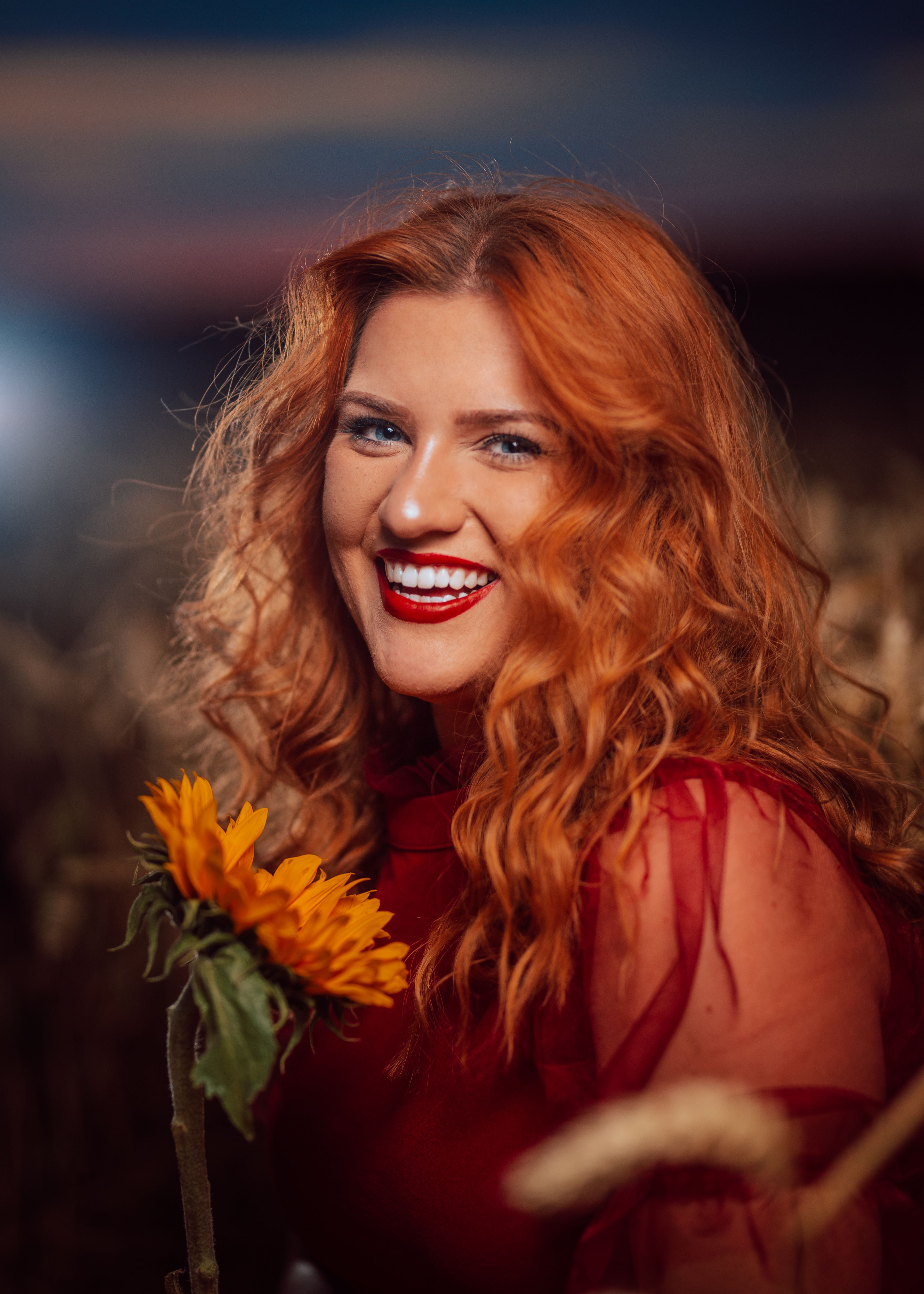Picture Perfect Photos, Download The BEST Free Picture Perfect Stock ...
