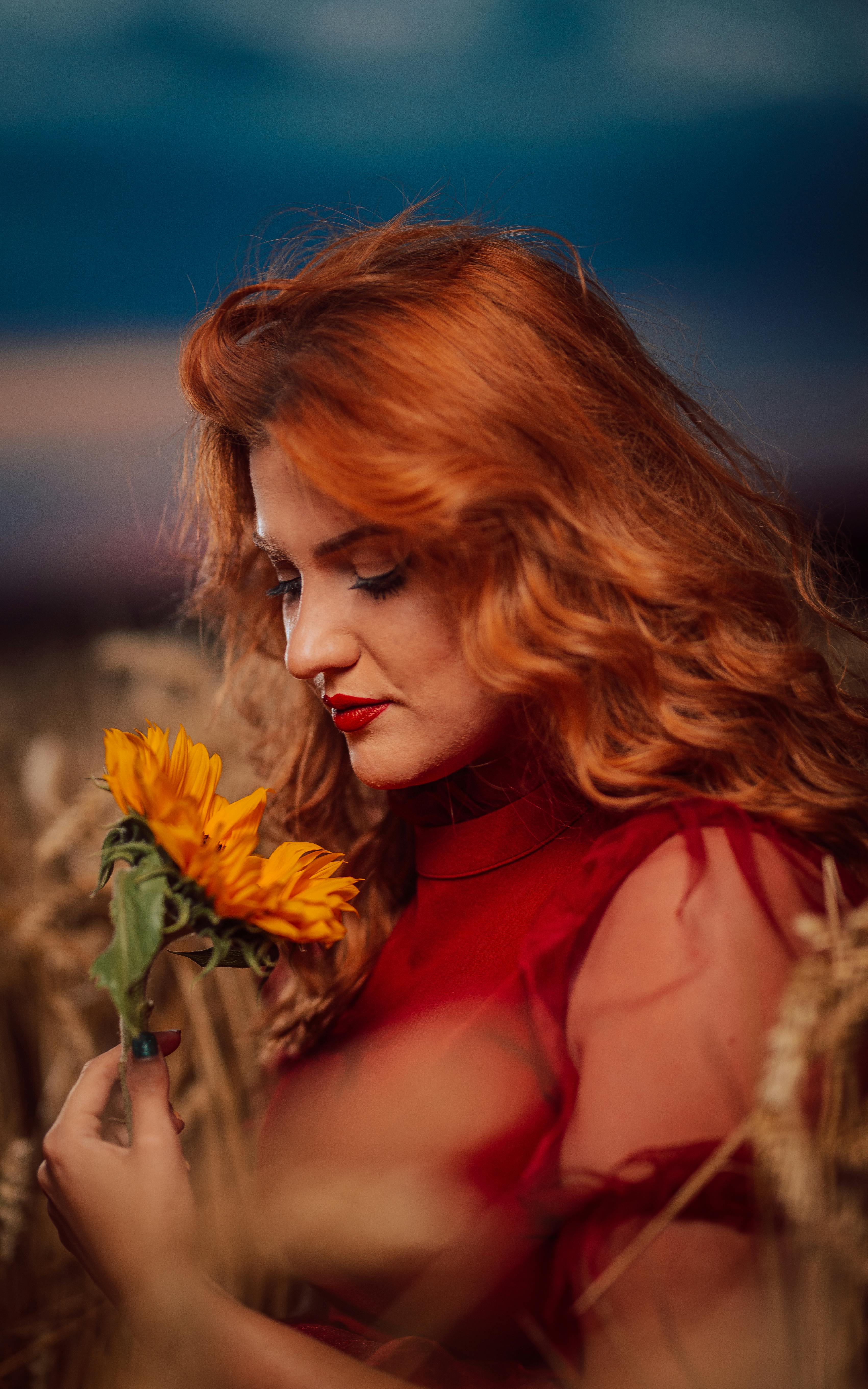 Sunflower Template Photos, Download The BEST Free Sunflower Template ...