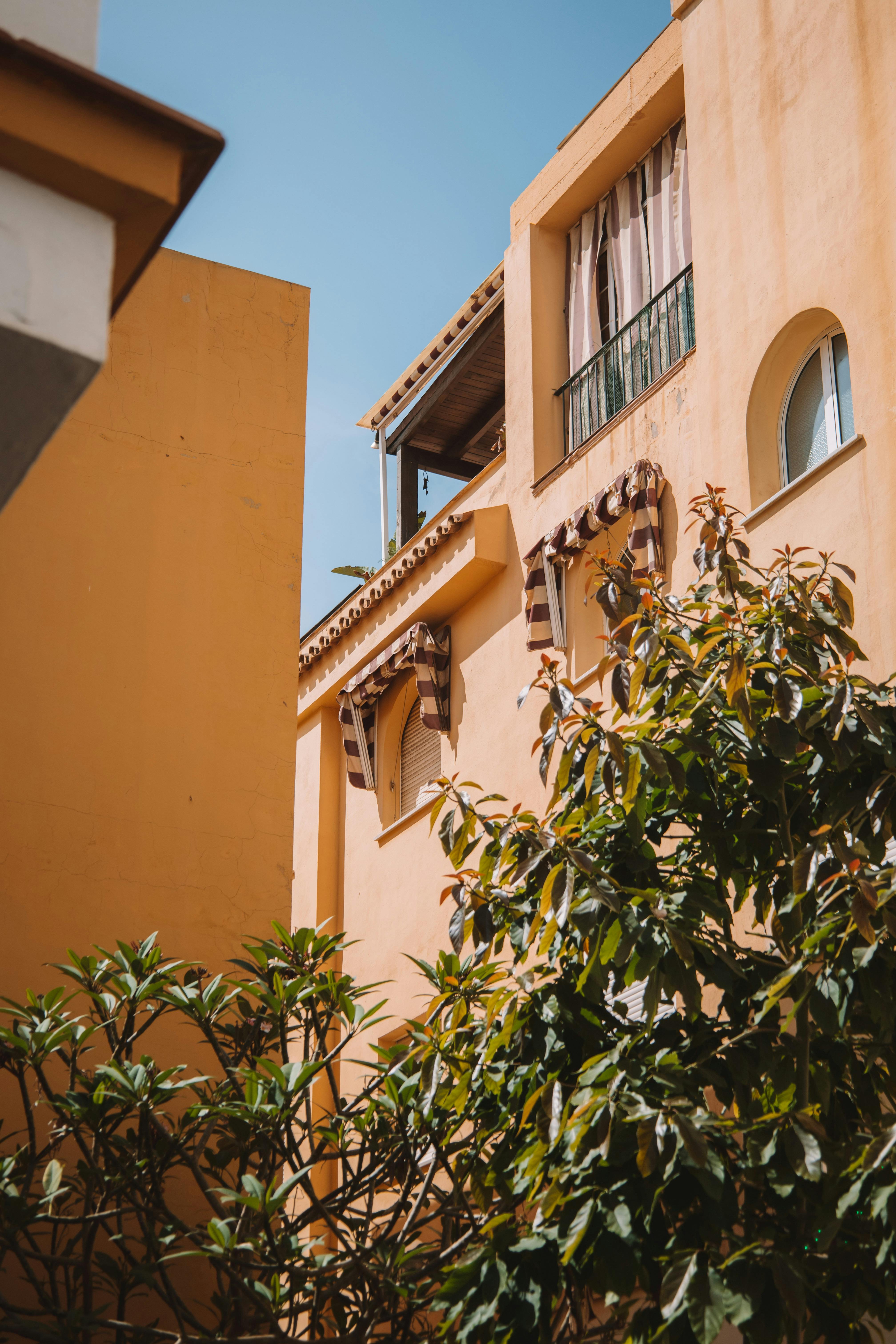 Tree near Building Walls · Free Stock Photo