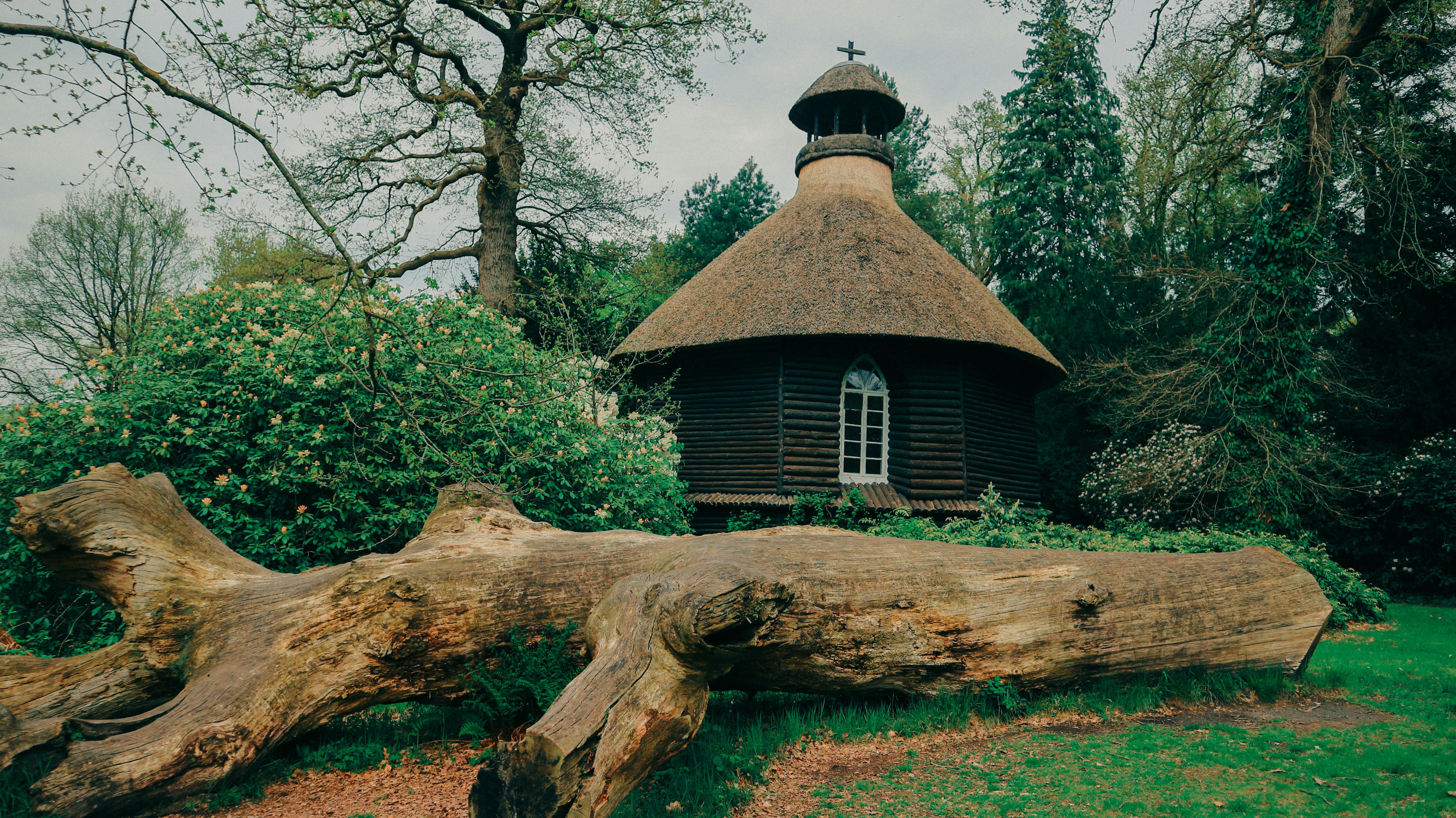 A Large Tree Log and a Wooden Hut in a Park · Free Stock Photo