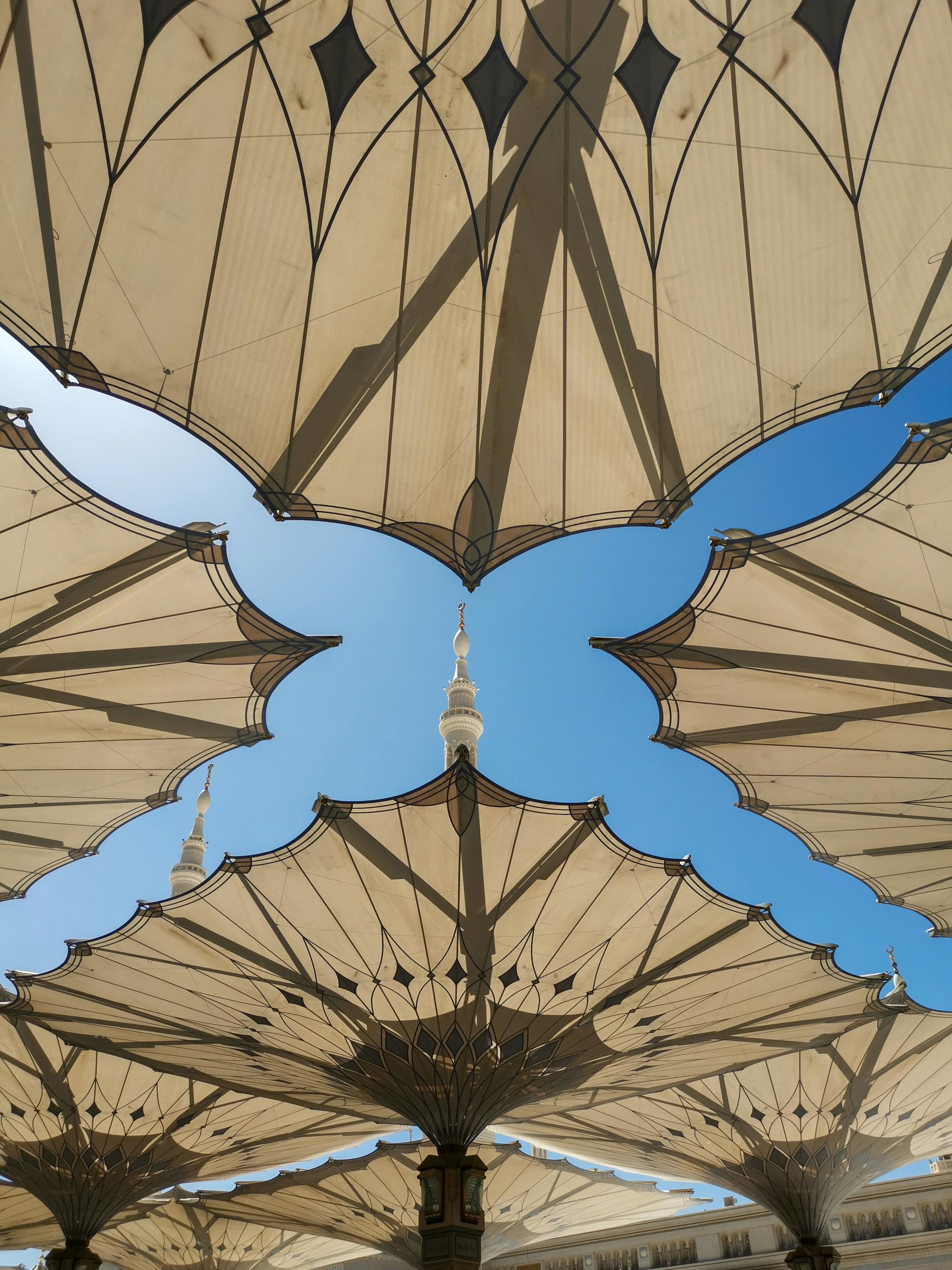 Cover Saudi Photos, Download The BEST Free Cover Saudi Stock Photos ...