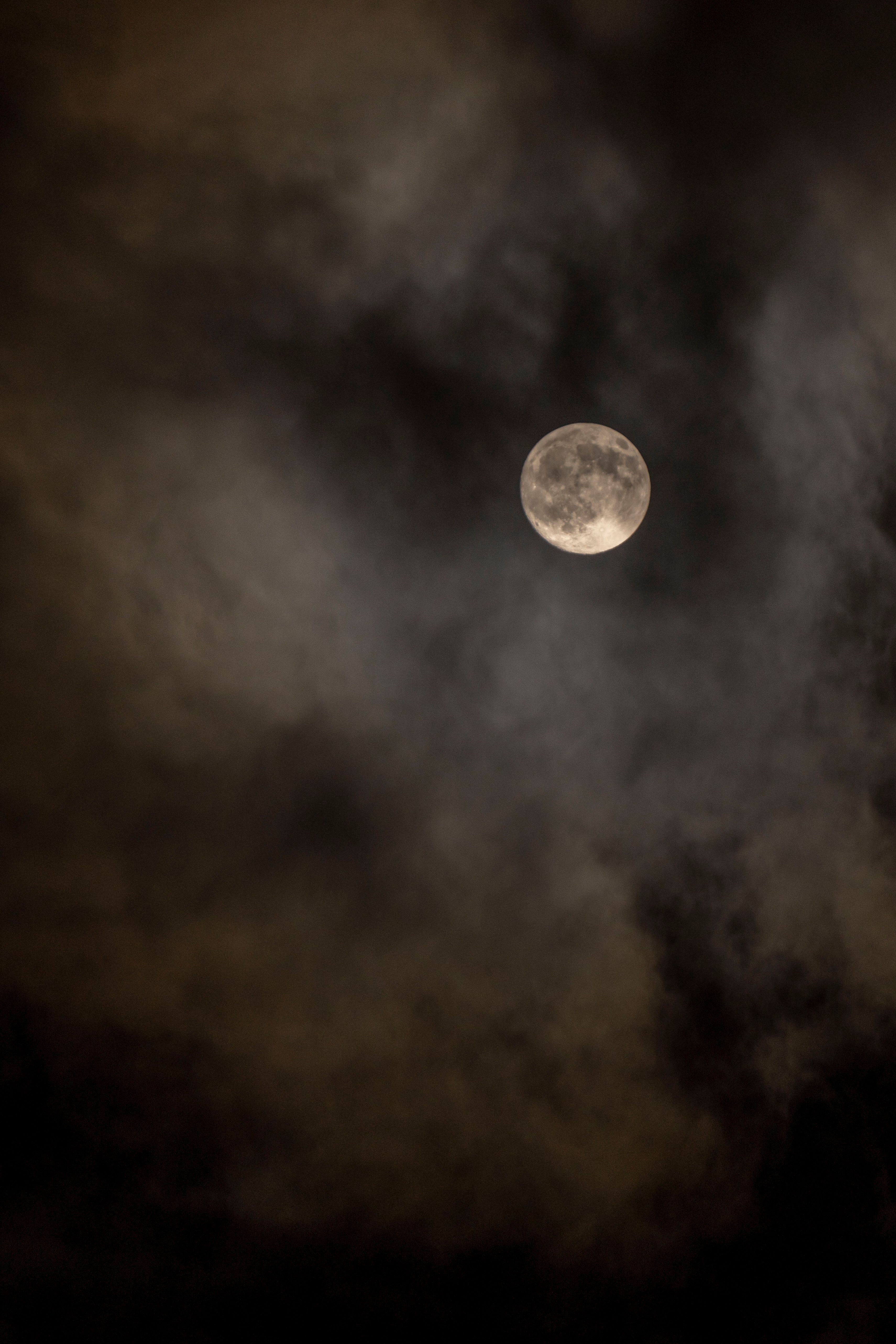 Hawaii Night Sky Photos, Download The BEST Free Hawaii Night Sky Stock ...