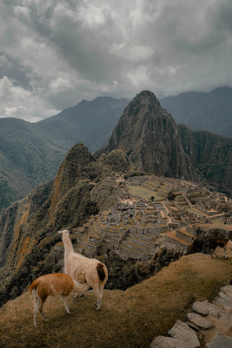 Machu Picchu Photos, Download The BEST Free Machu Picchu Stock Photos ...