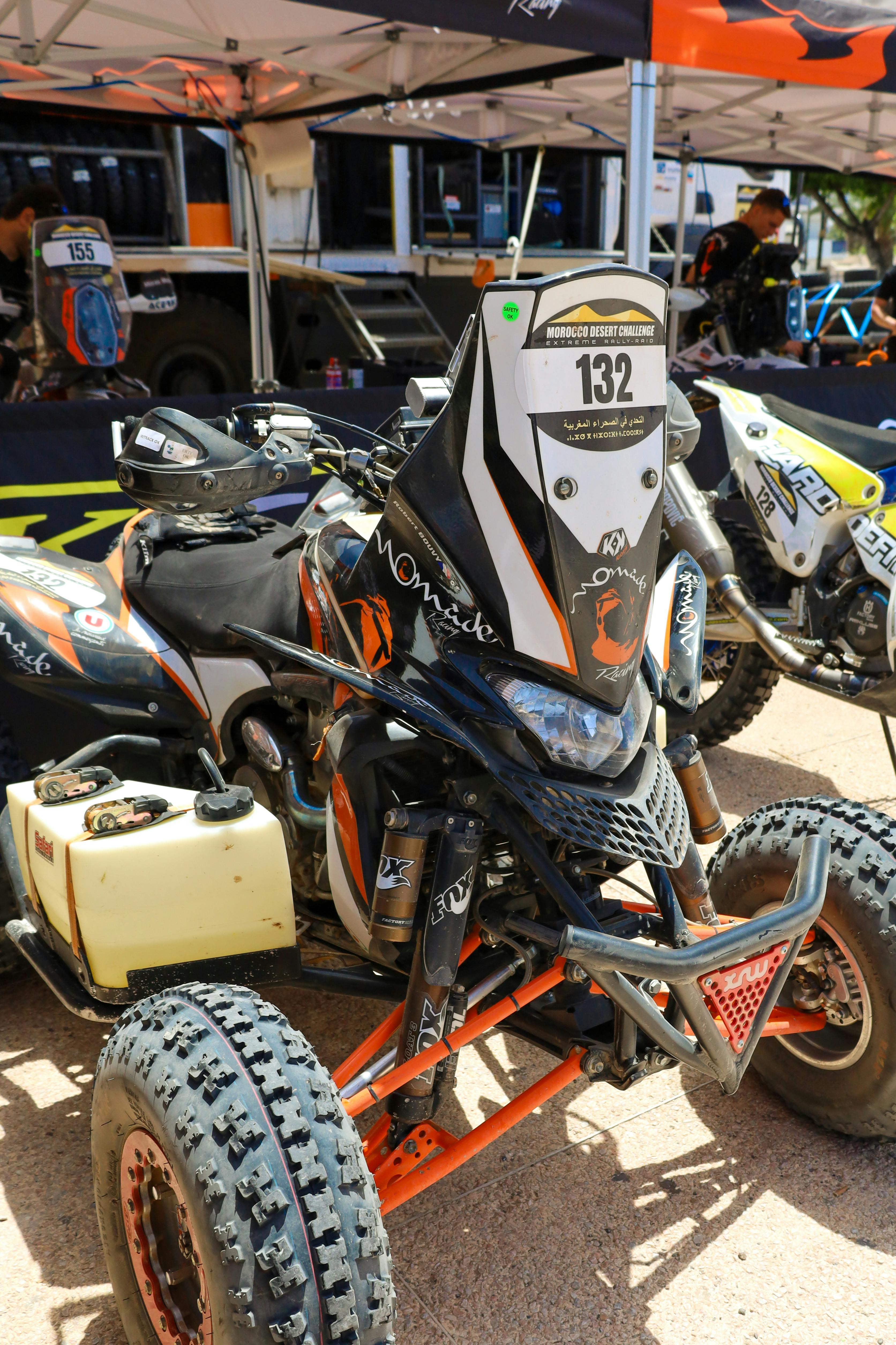 Racing Pigeons Photos, Download The BEST Free Racing Pigeons Stock ...