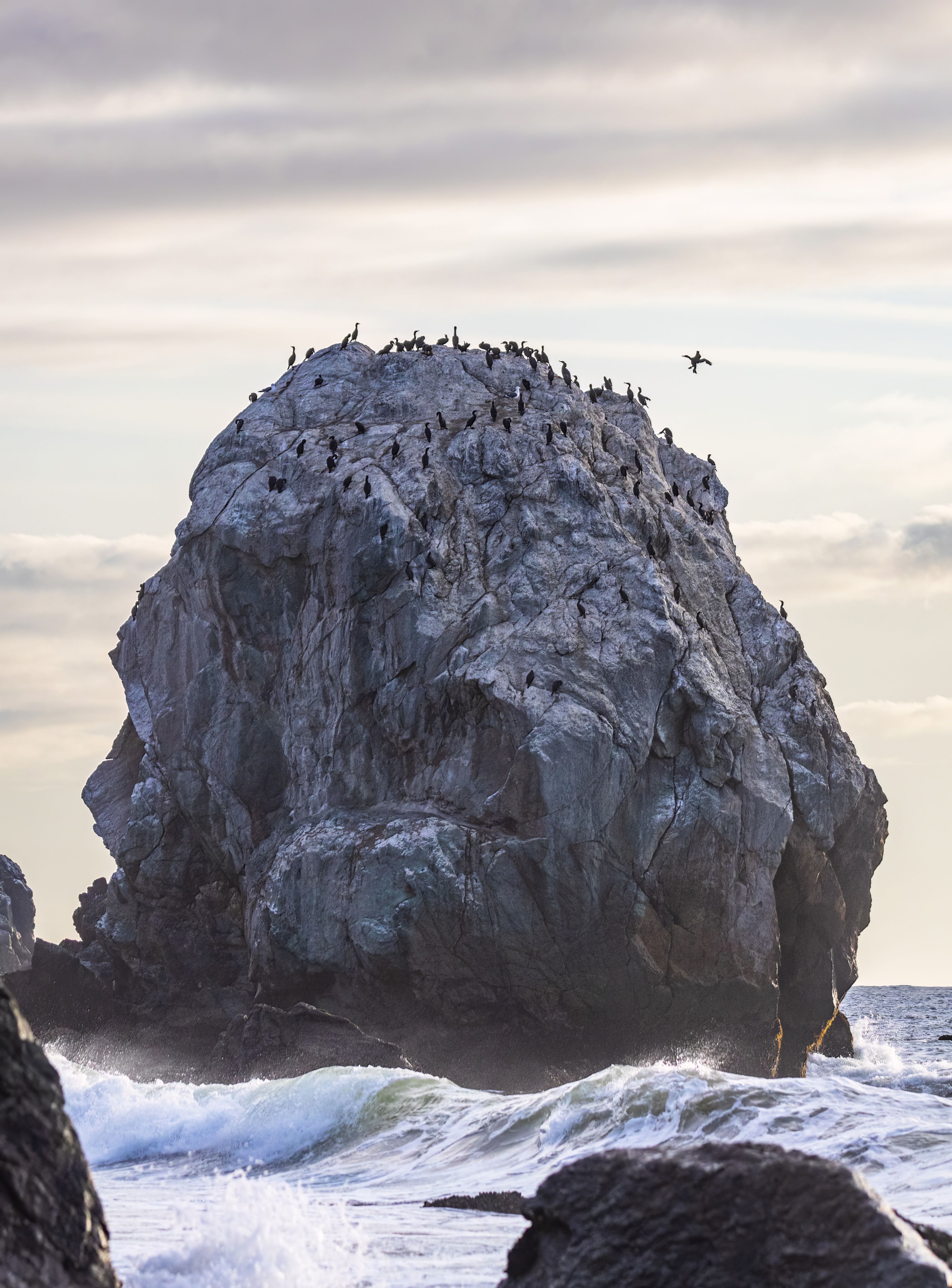 Birds Perching on Rock Formation in Sea · Free Stock Photo