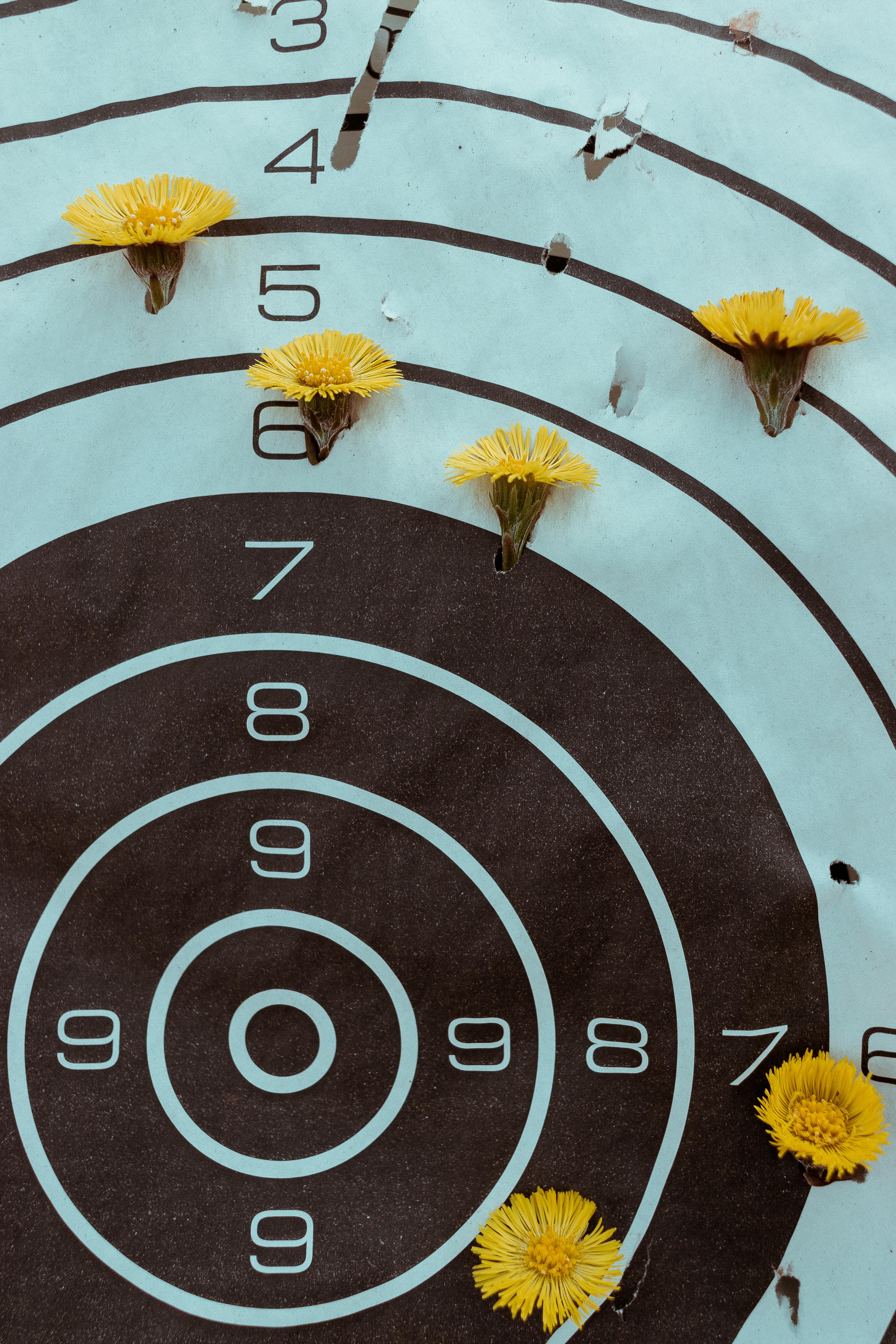 Shooting Line Photos, Download The BEST Free Shooting Line Stock Photos ...