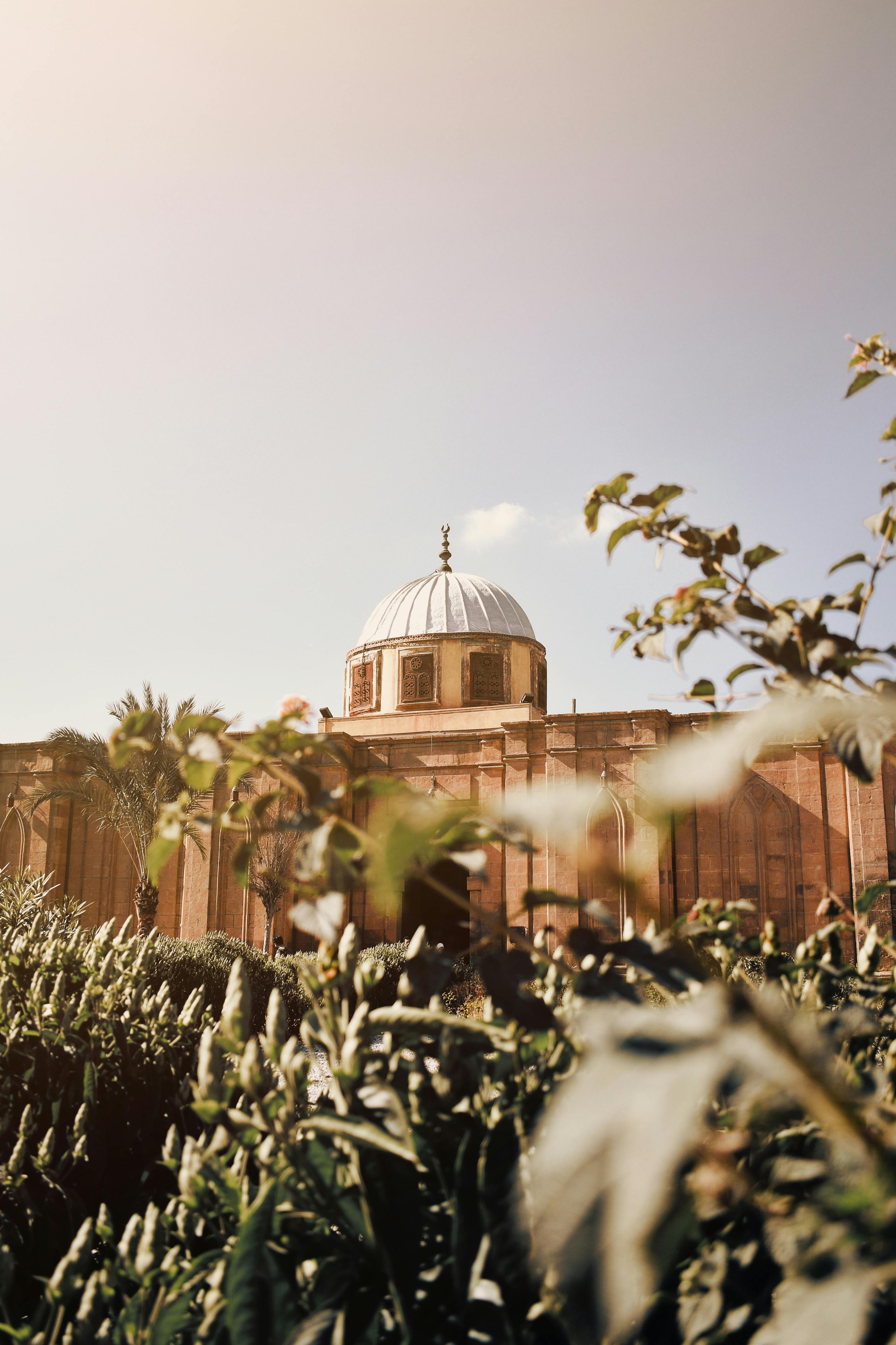 Mosque behind Plants · Free Stock Photo