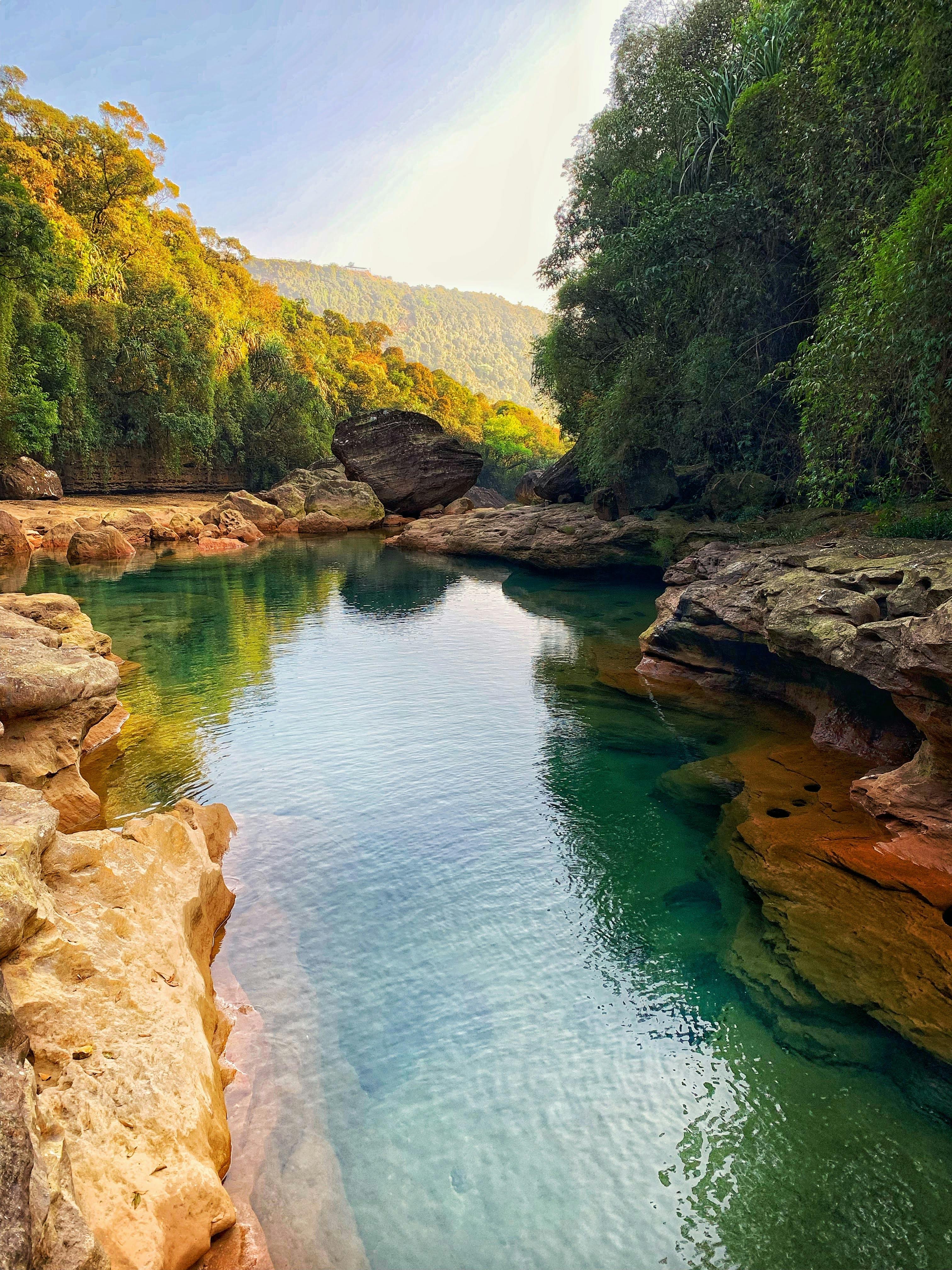 Rocks and Trees around Pond · Free Stock Photo
