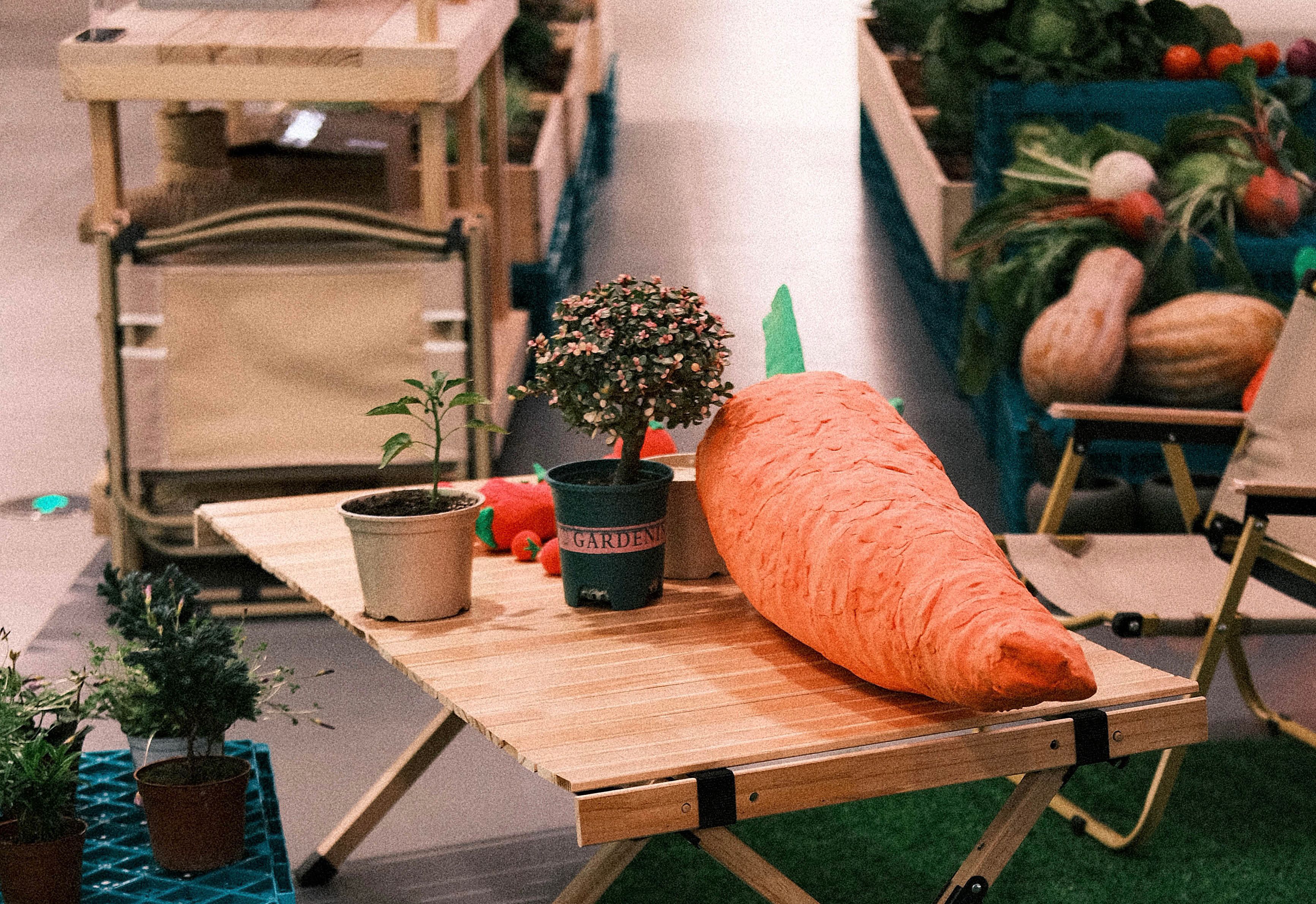 Interior of a Garden Store · Free Stock Photo