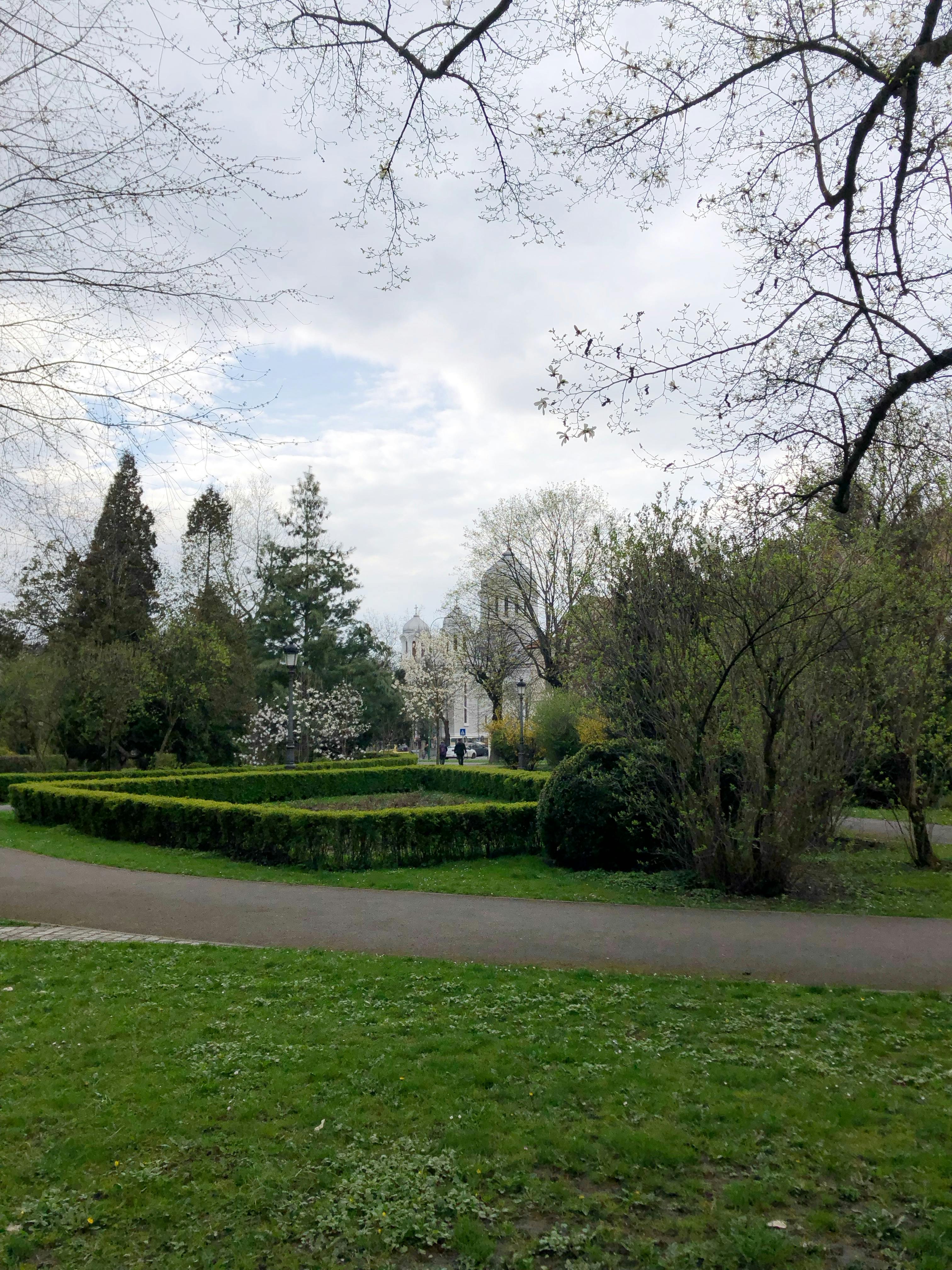 Albert Roman – Fotografie