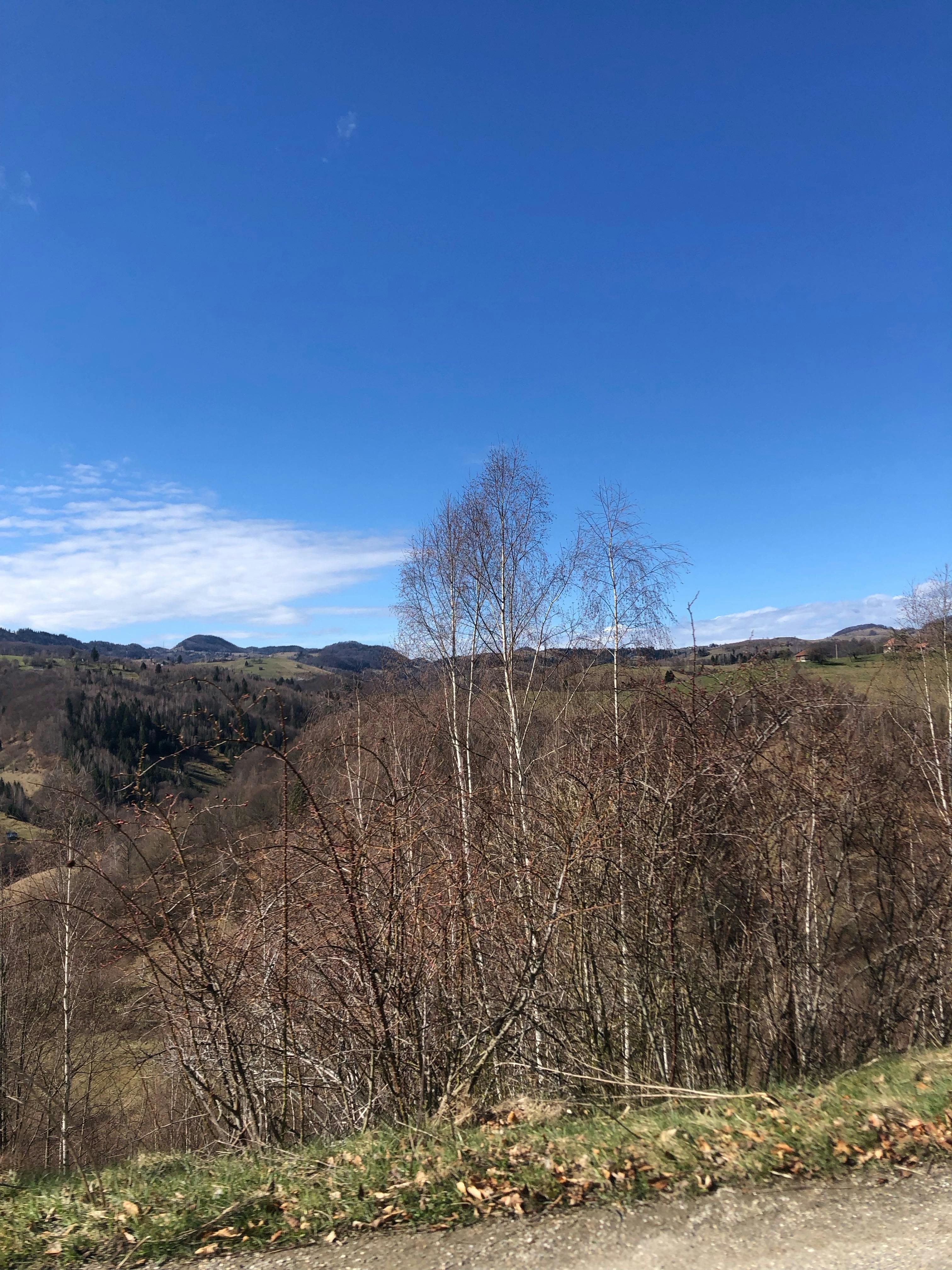 Albert Roman – Fotografie