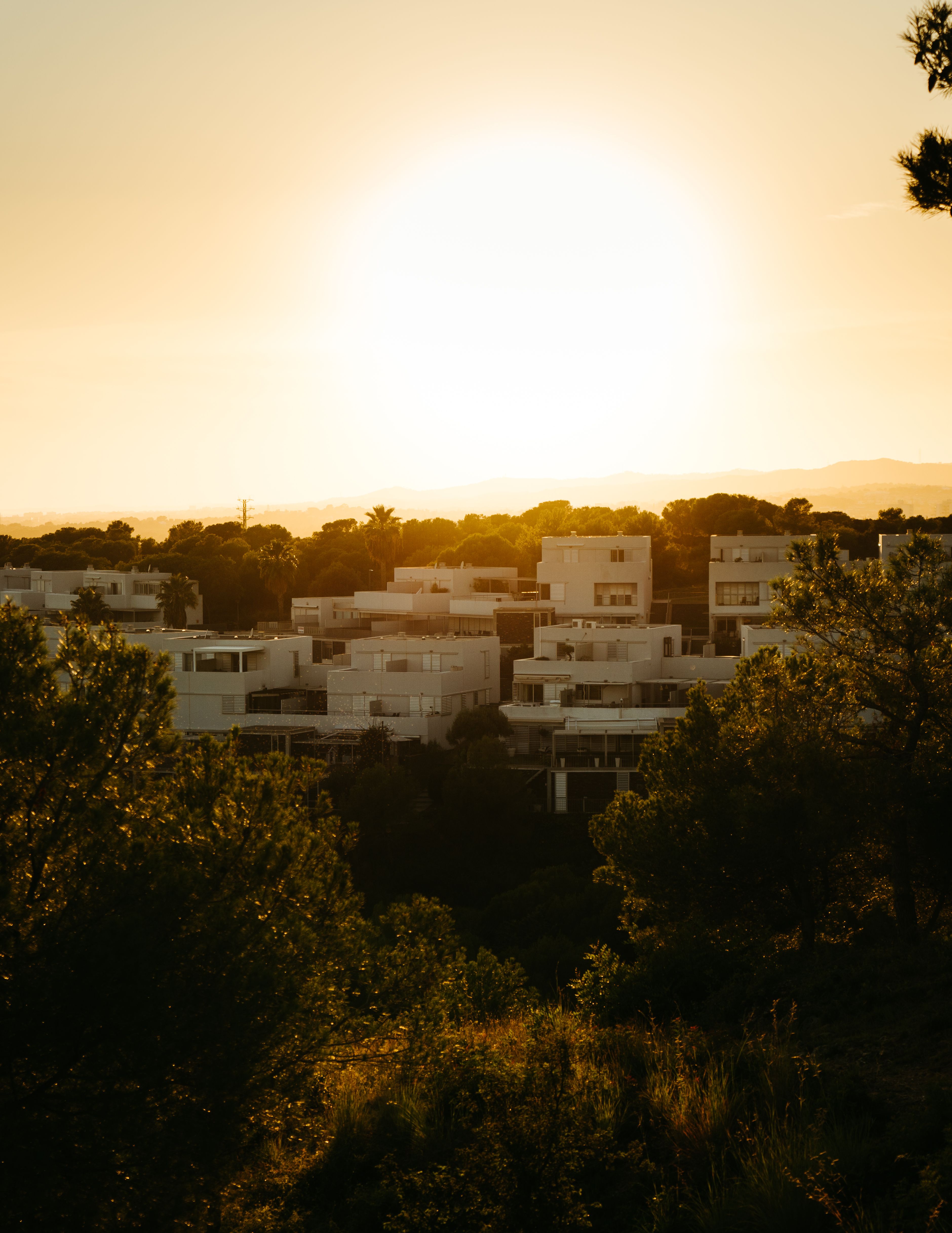 Sunlight over Houses in Town · Free Stock Photo