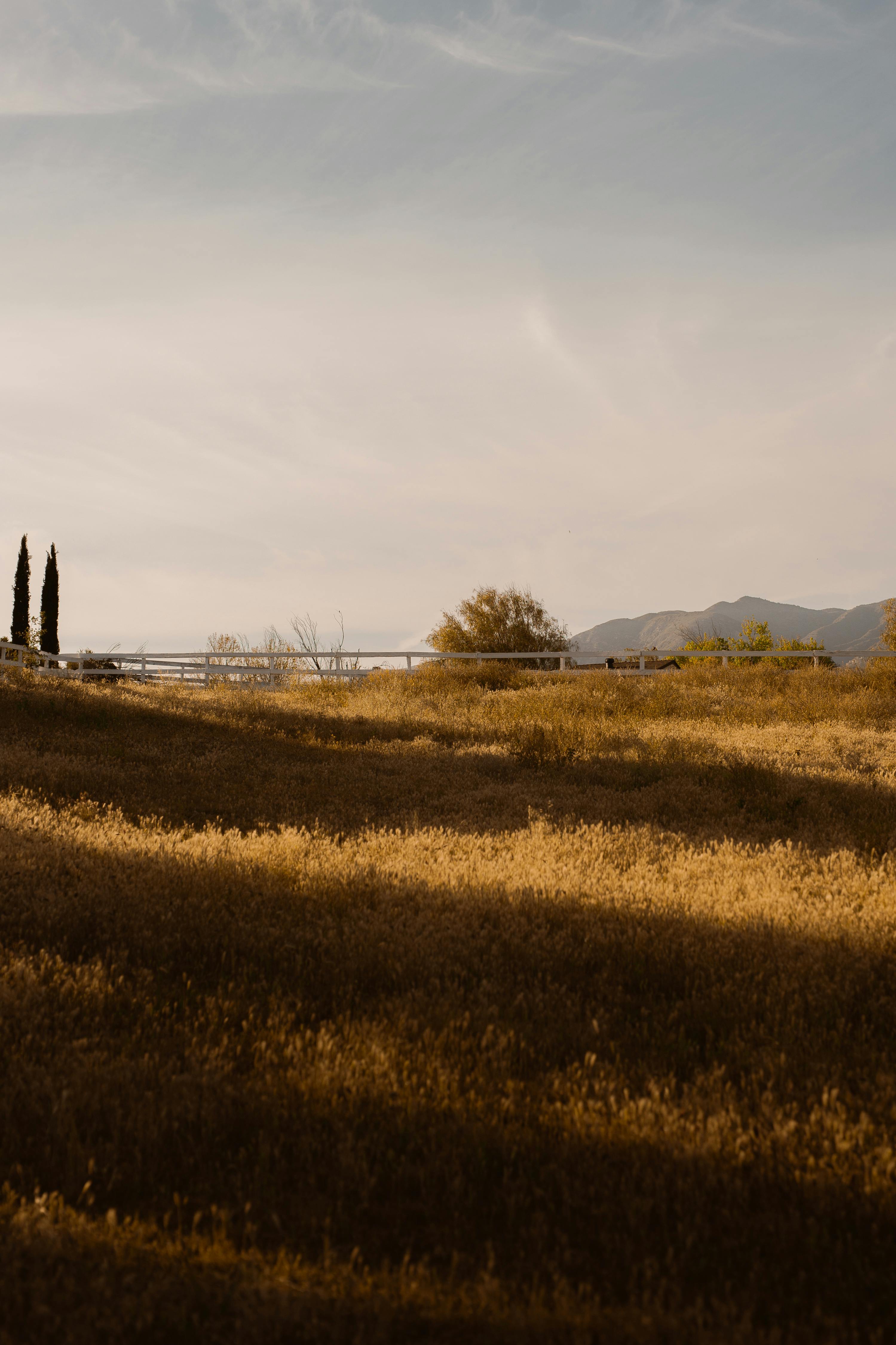 Plains Nature Photos, Download The BEST Free Plains Nature Stock Photos ...