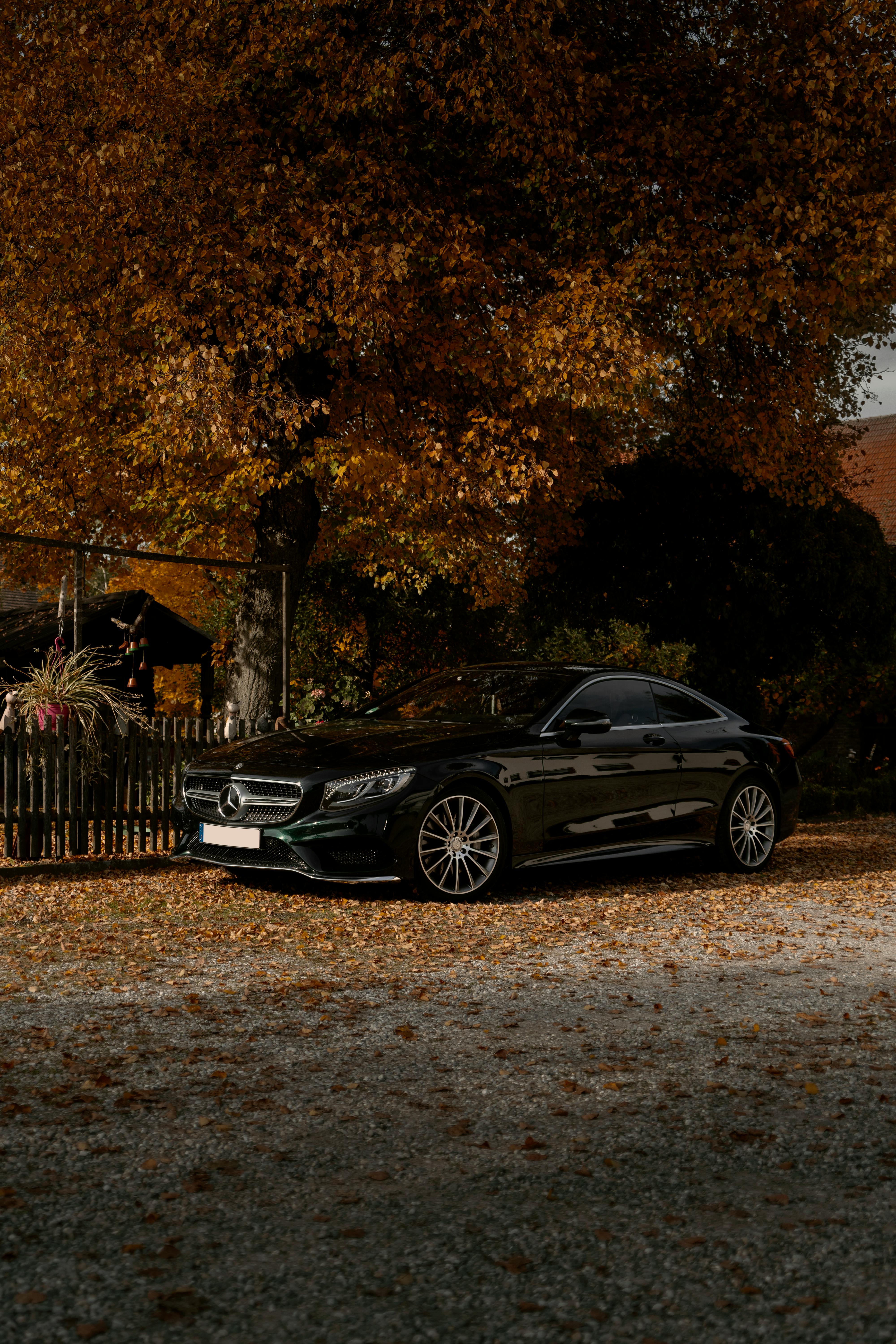 Black Car under Tree in Autumn · Free Stock Photo